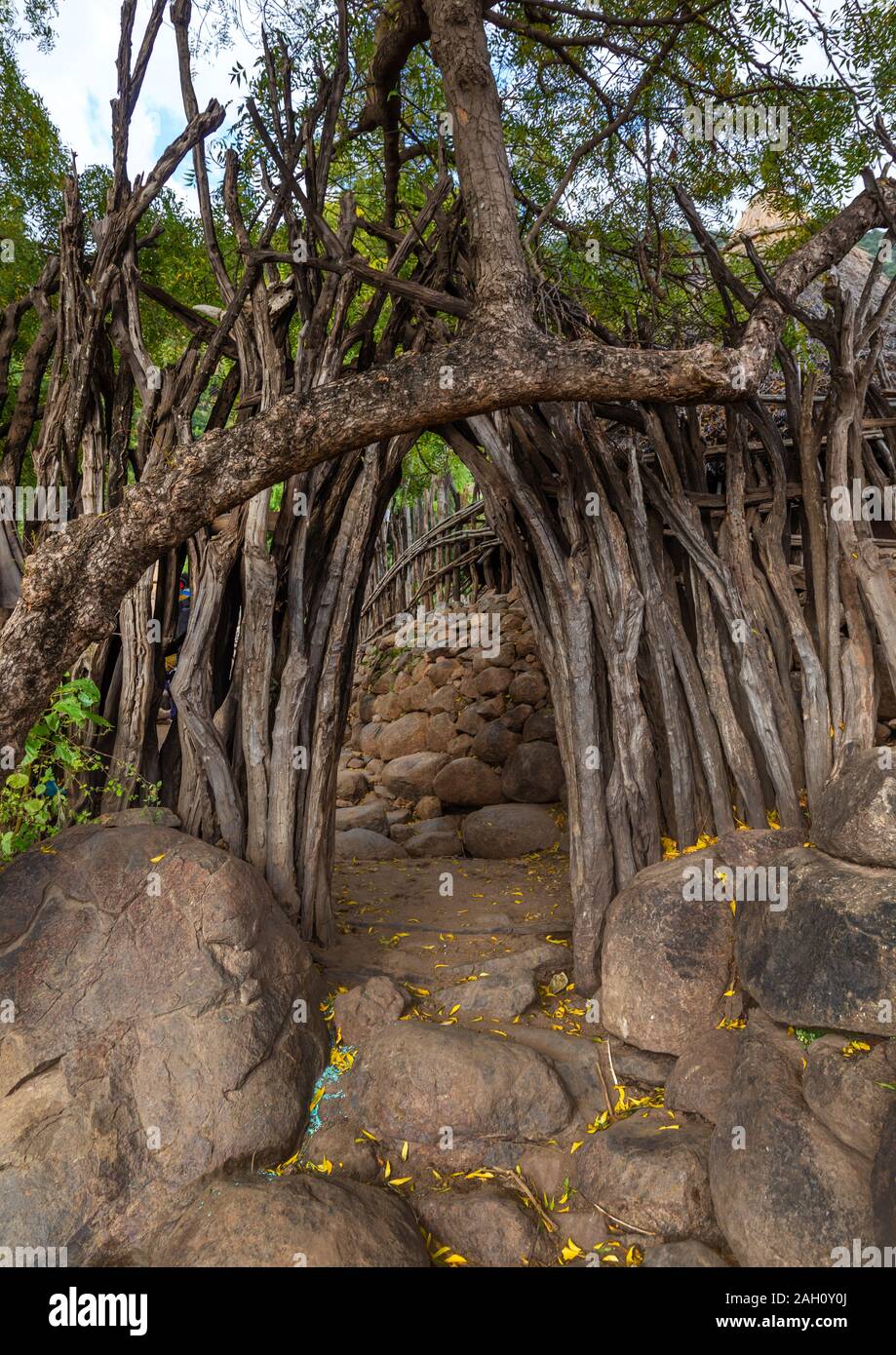 Lotuko tribe village with thatched houses and wood fences, Central ...
