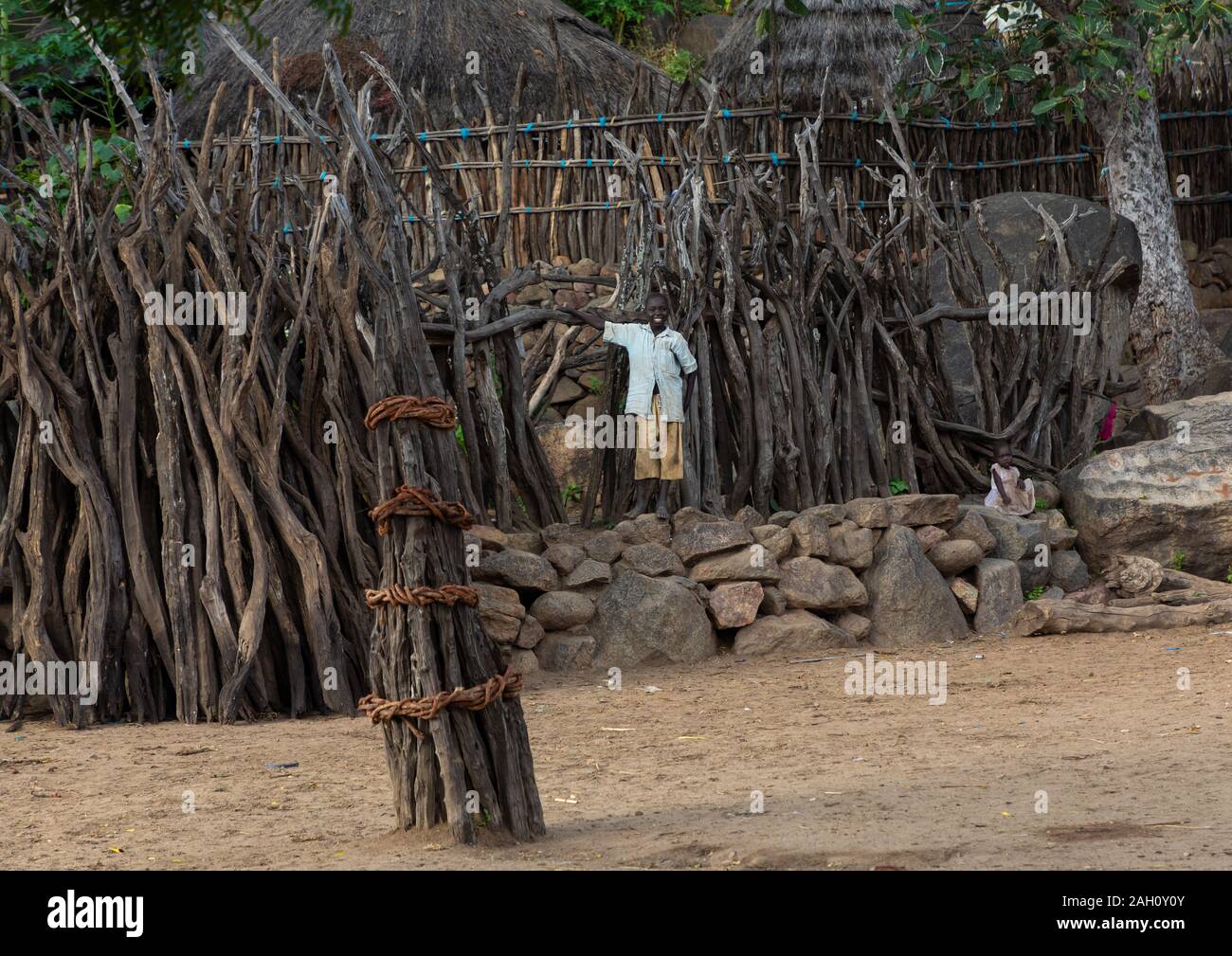 Generation pole erected during initiation ceremonies in Lotuko tribe ...
