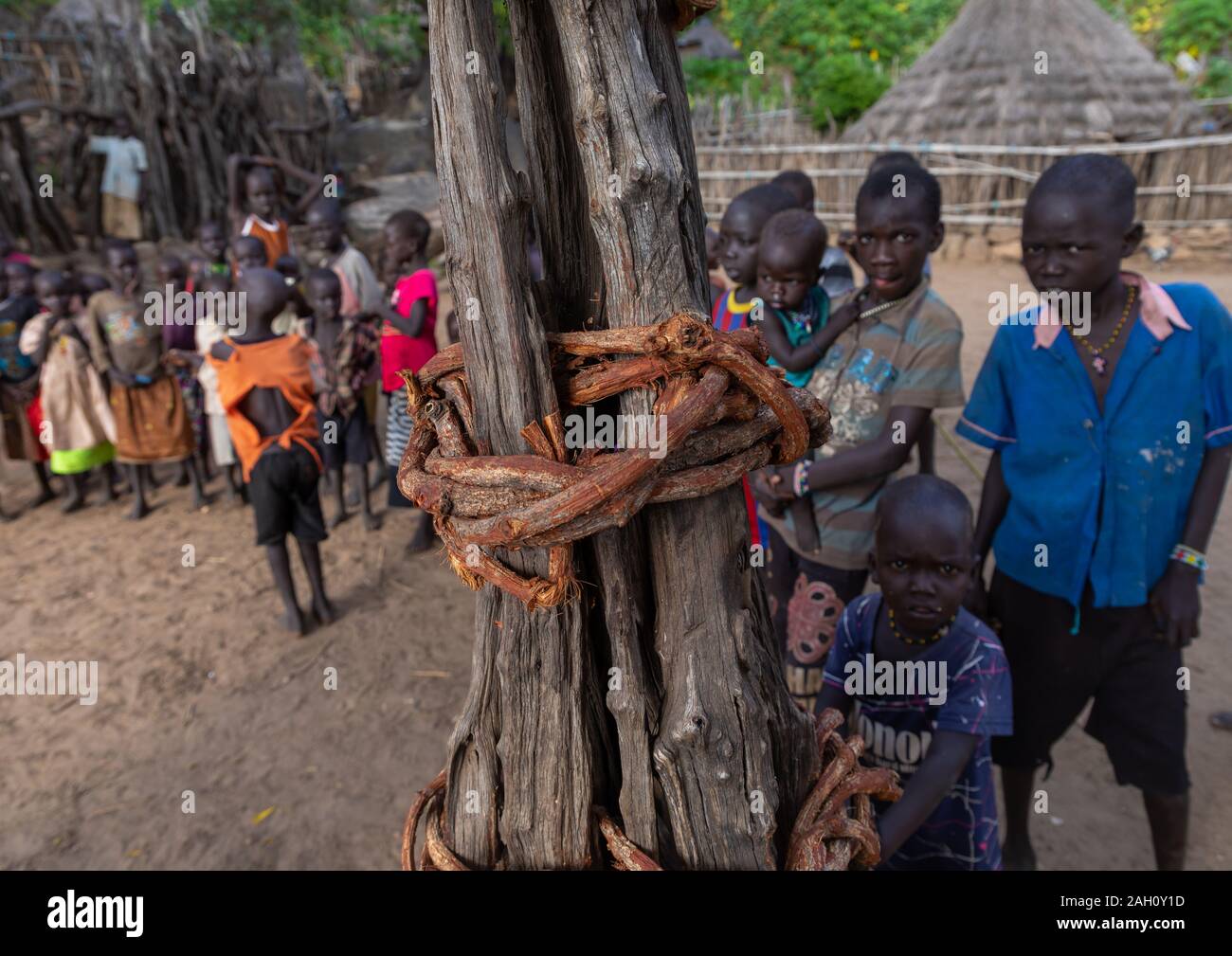 Children around a generation pole erected during initiation ceremonies ...