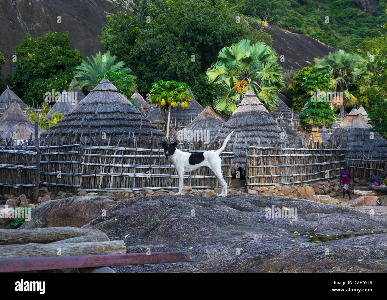 Latuka hi-res stock photography and images - Alamy