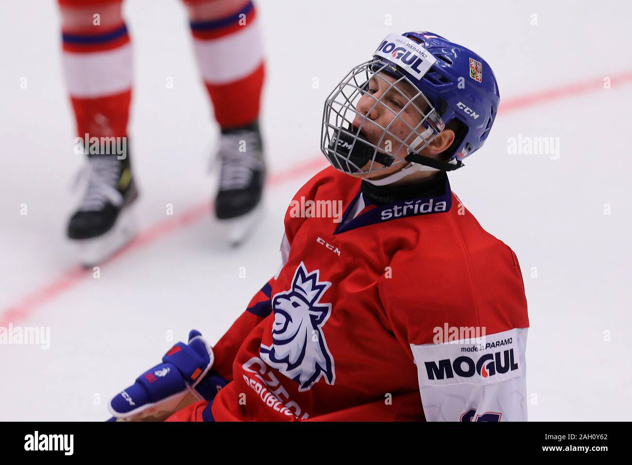 Goalkeeper Jan Mysak (CZE) in action during a preliminary match Czech Republic vs Slovakia prior ...