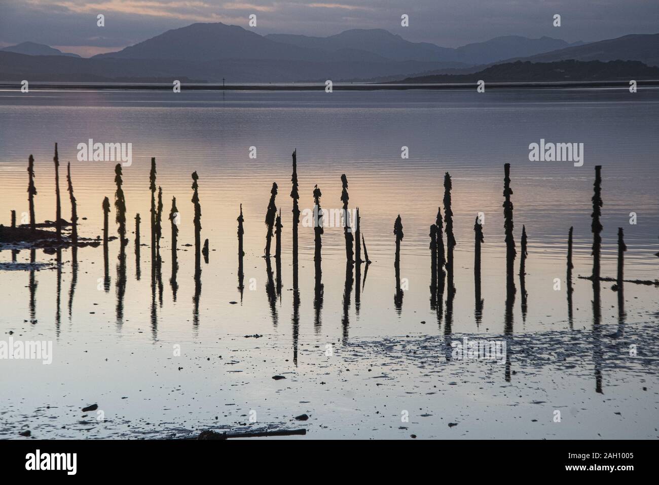 Tide ponds hi-res stock photography and images - Alamy