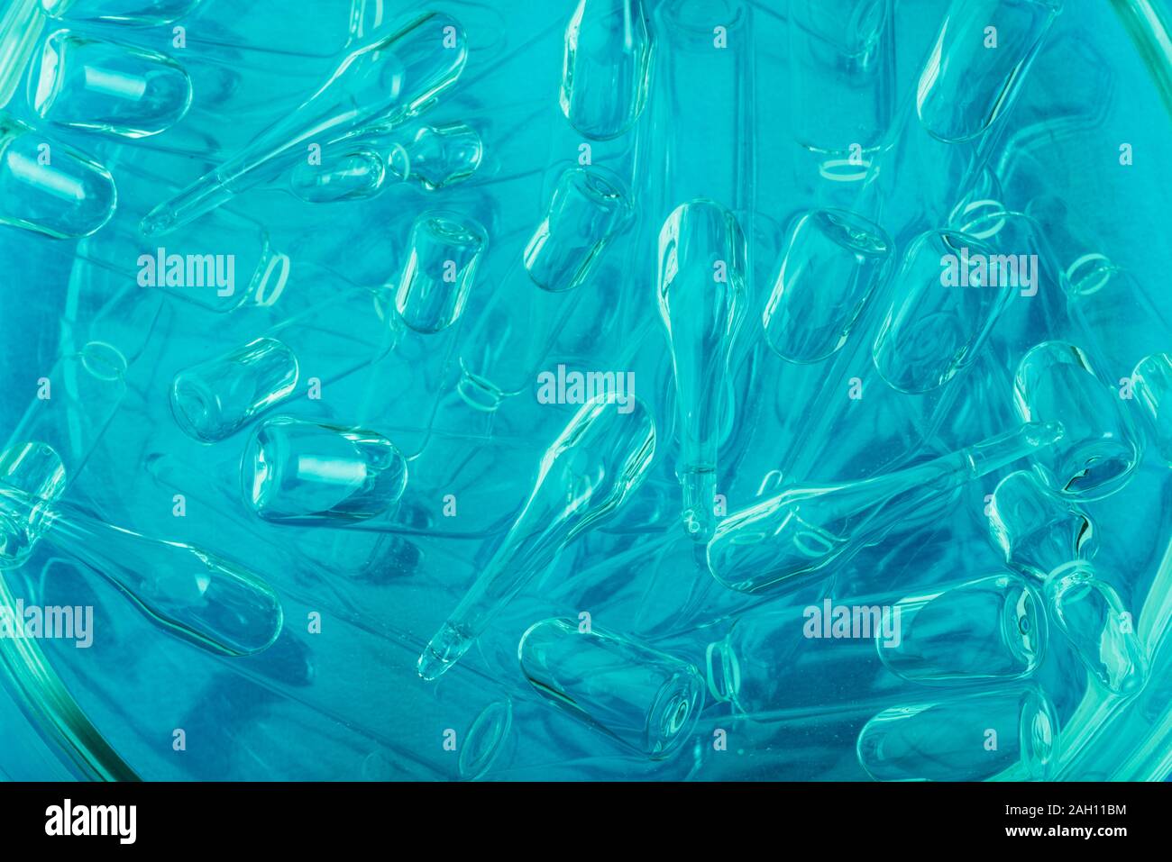 Dissection needle hi-res stock photography and images - Alamy