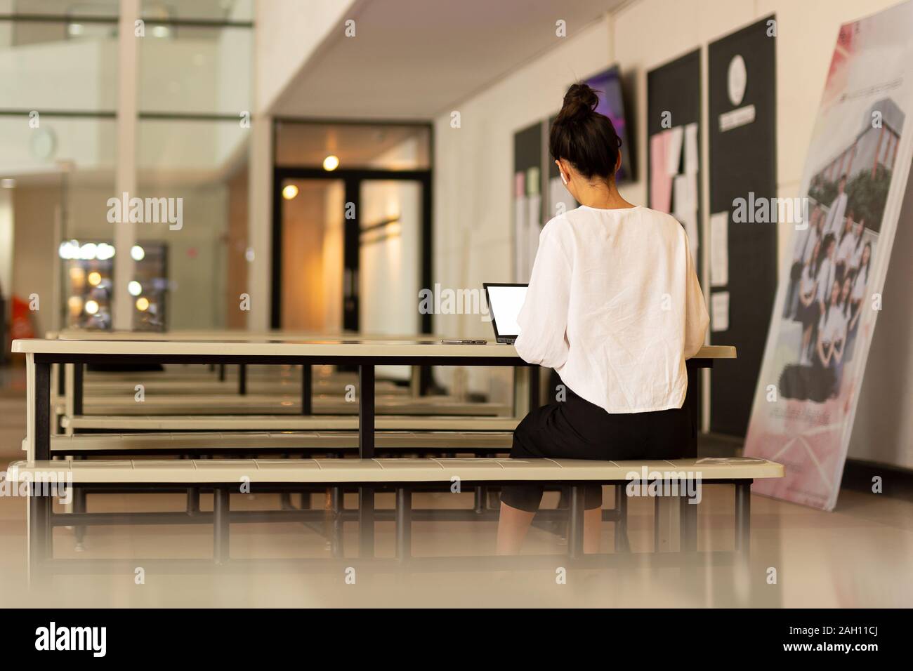 Back view of concentrated young businesswoman working on laptop ...