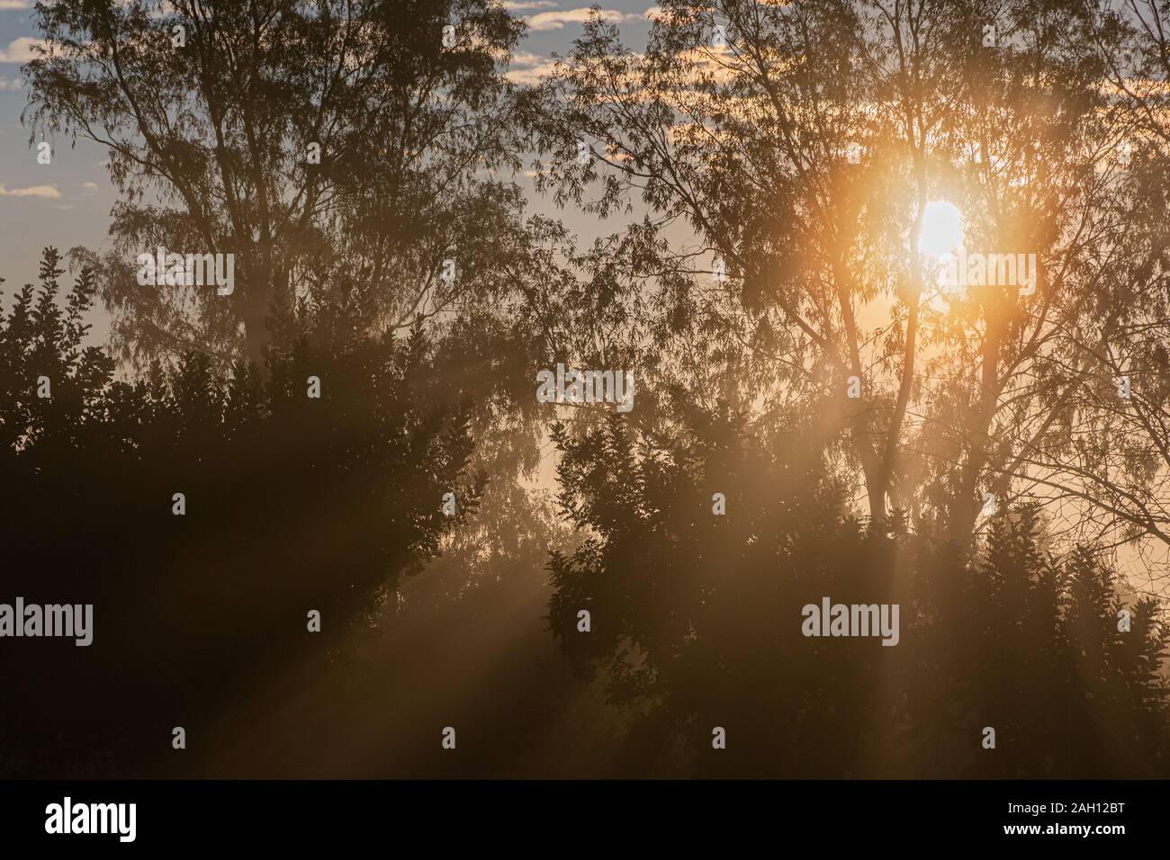 Reflective reflections hi-res stock photography and images - Alamy