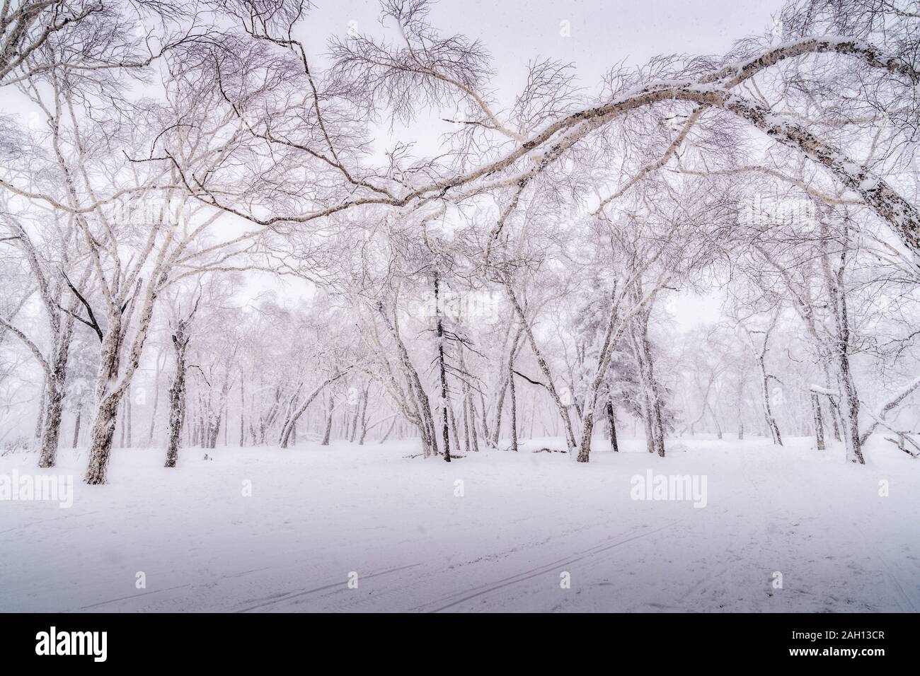 Harbin China High Resolution Stock Photography and Images - Alamy