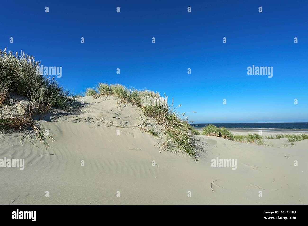 Foredunes hi-res stock photography and images - Alamy