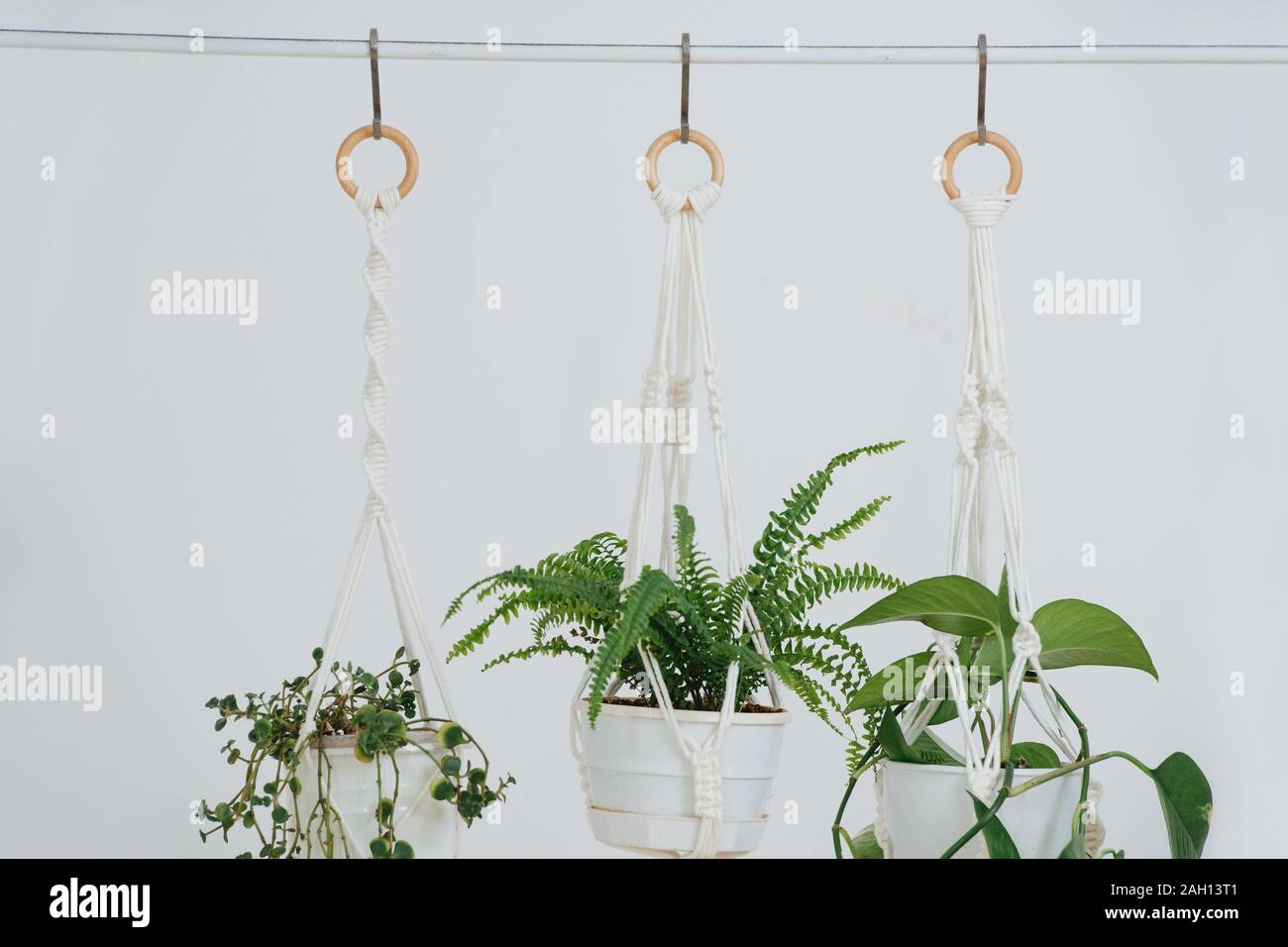 Hanging plans hi-res stock photography and images - Alamy