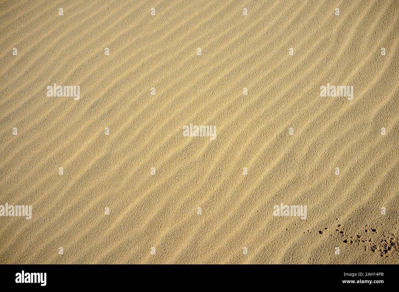 Formed by water and wind erosion hi-res stock photography and images ...