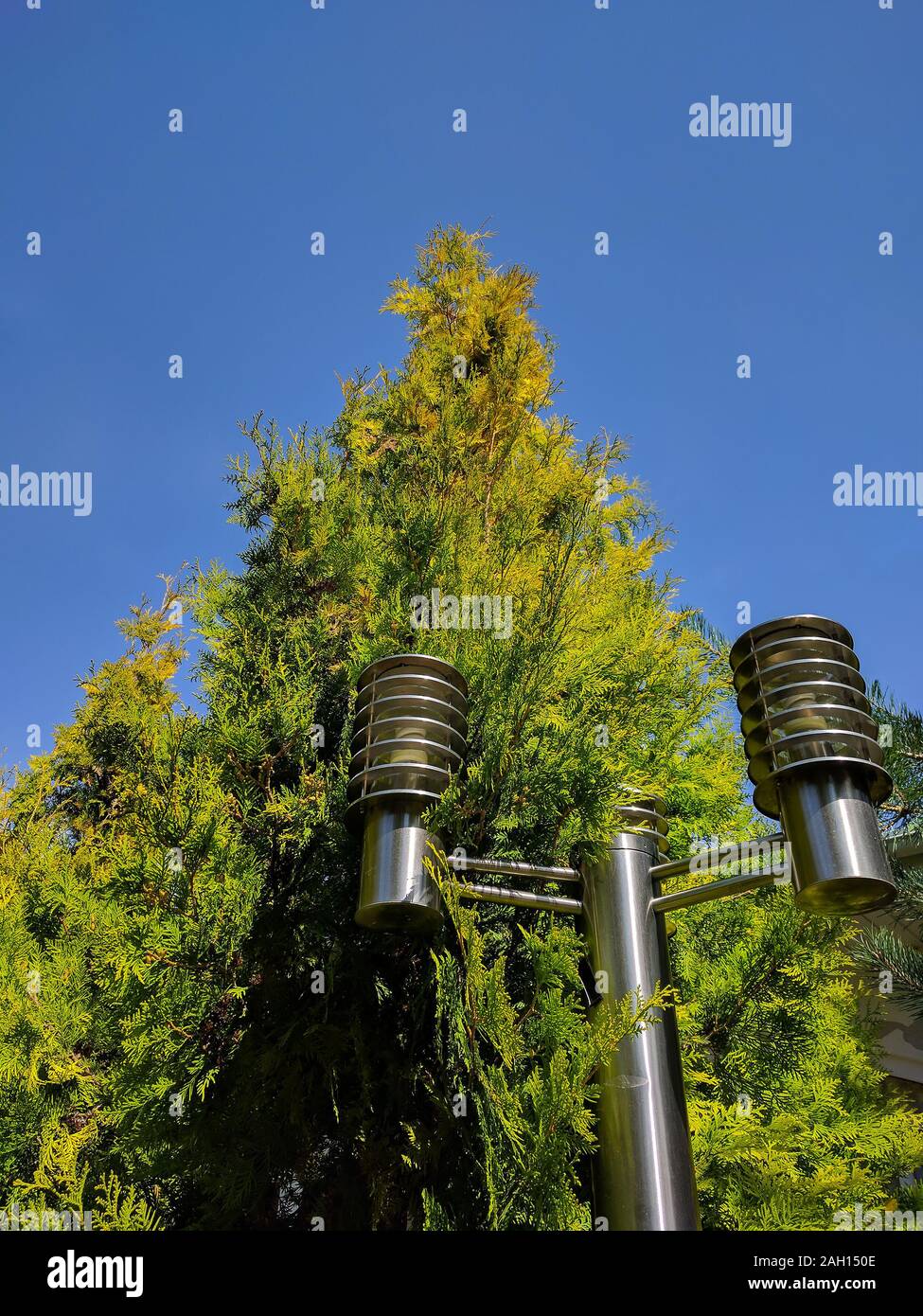 Christmas tree with street lamp Stock Photo - Alamy
