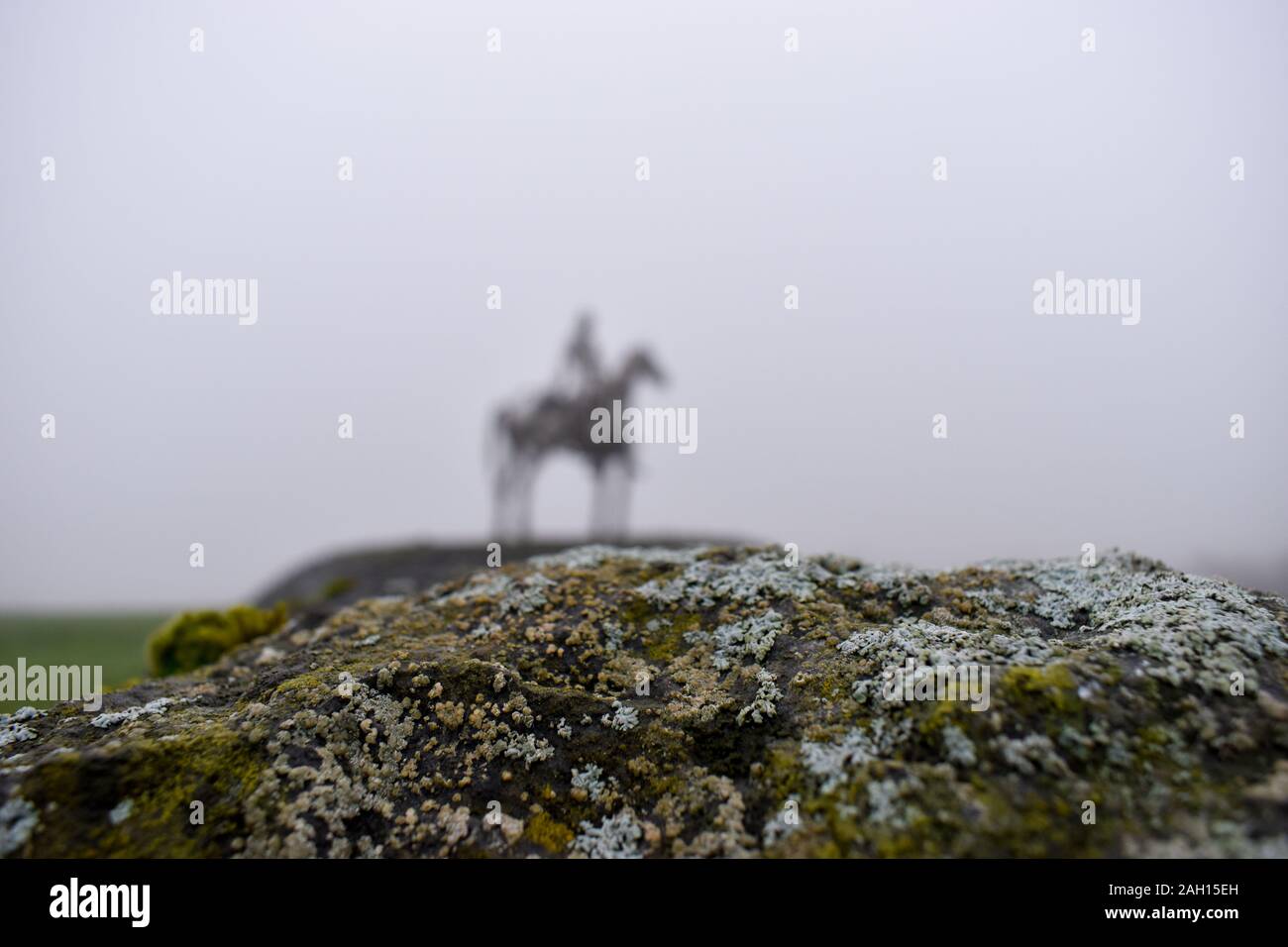 Irish Chieftain High Resolution Stock Photography and Images - Alamy