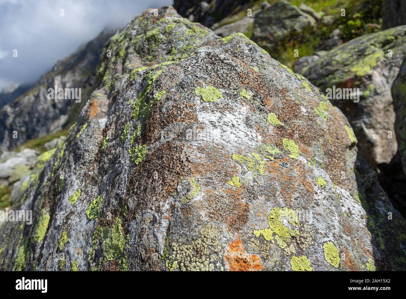 Lichen on rock rocks hi-res stock photography and images - Alamy