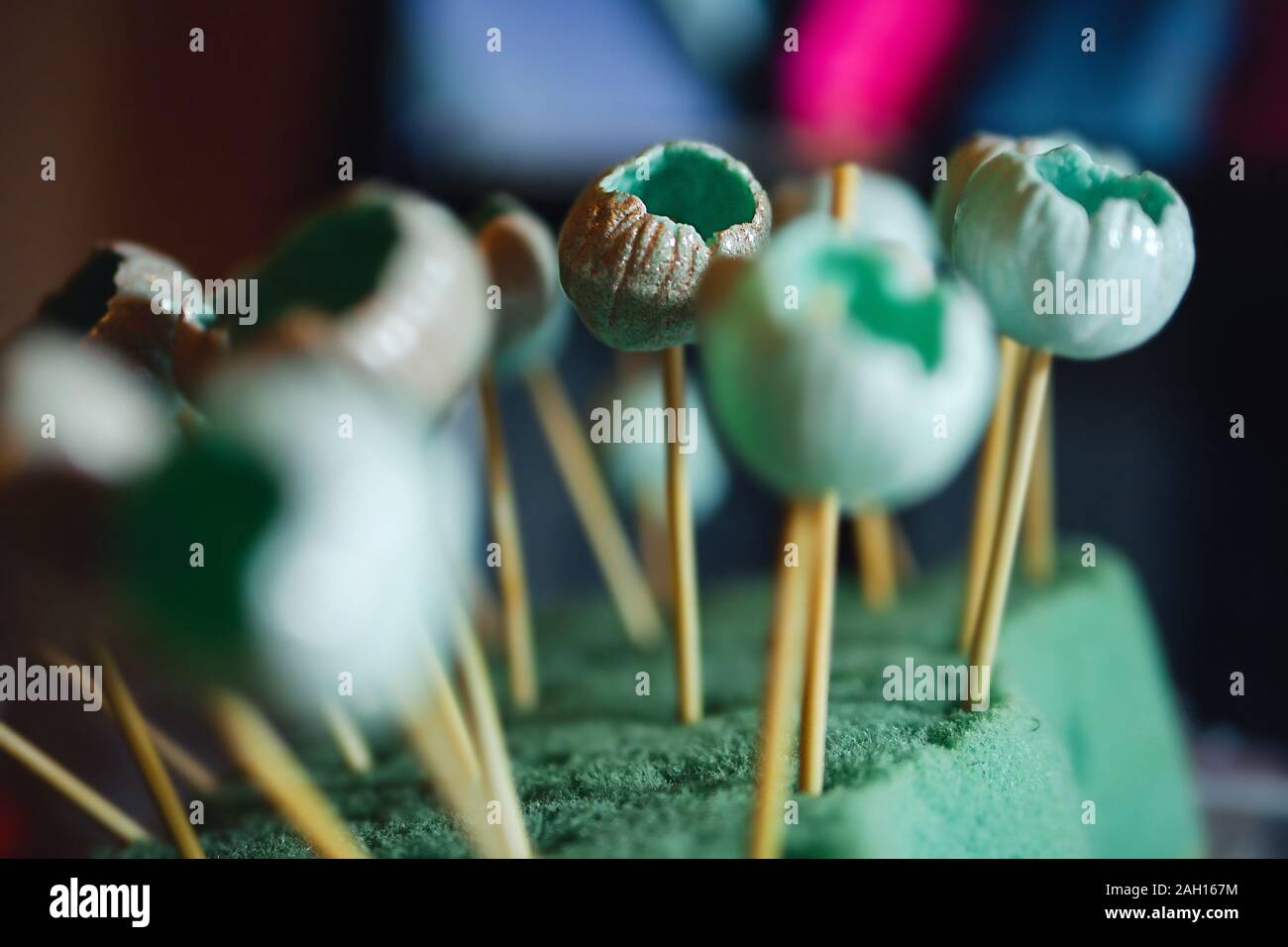 Blue buds of polymer clay on sticks drys up. Handmade Stock Photo - Alamy