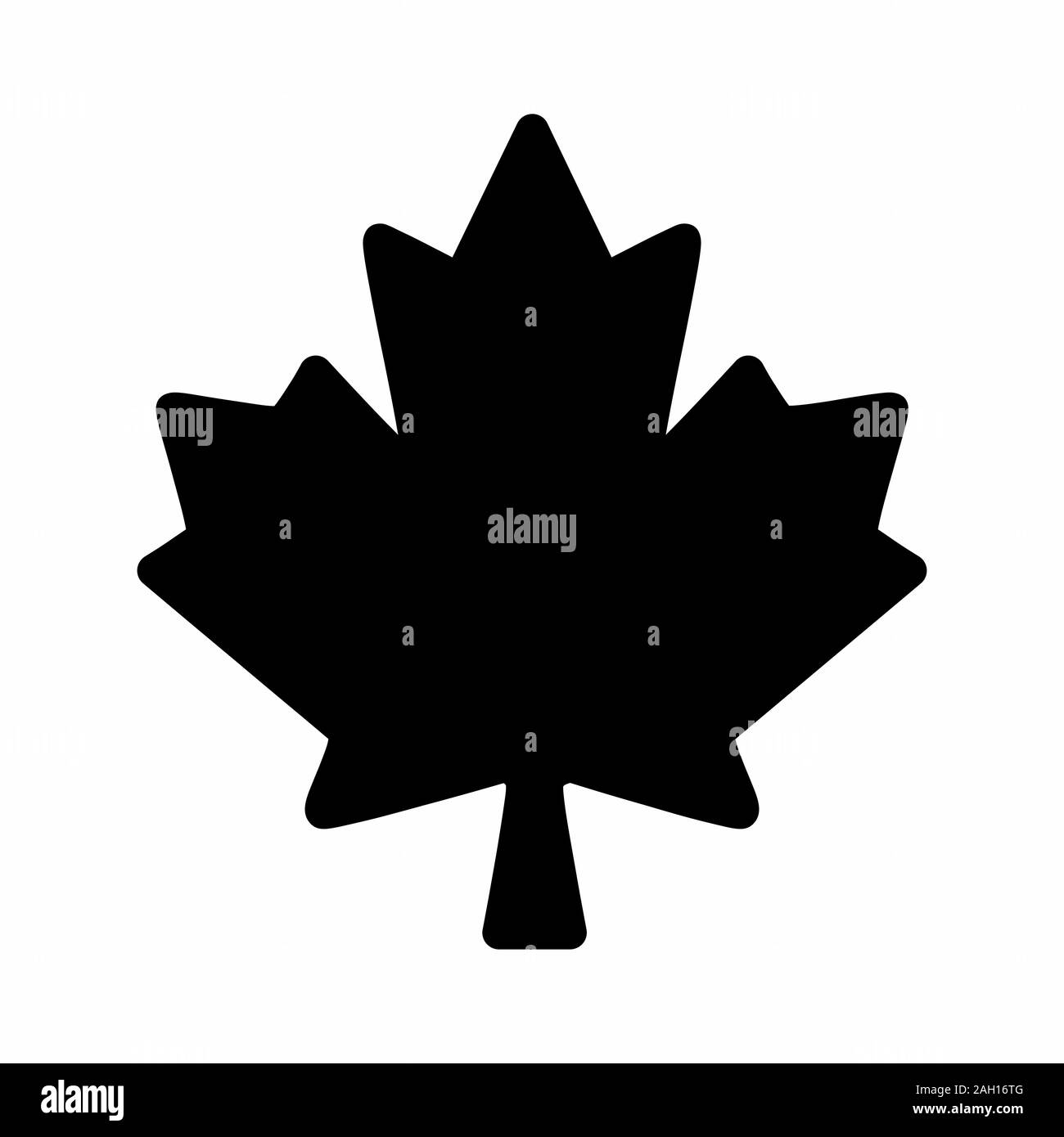 Canadian symbol the maple leaf Black and White Stock Photos & Images - Alamy