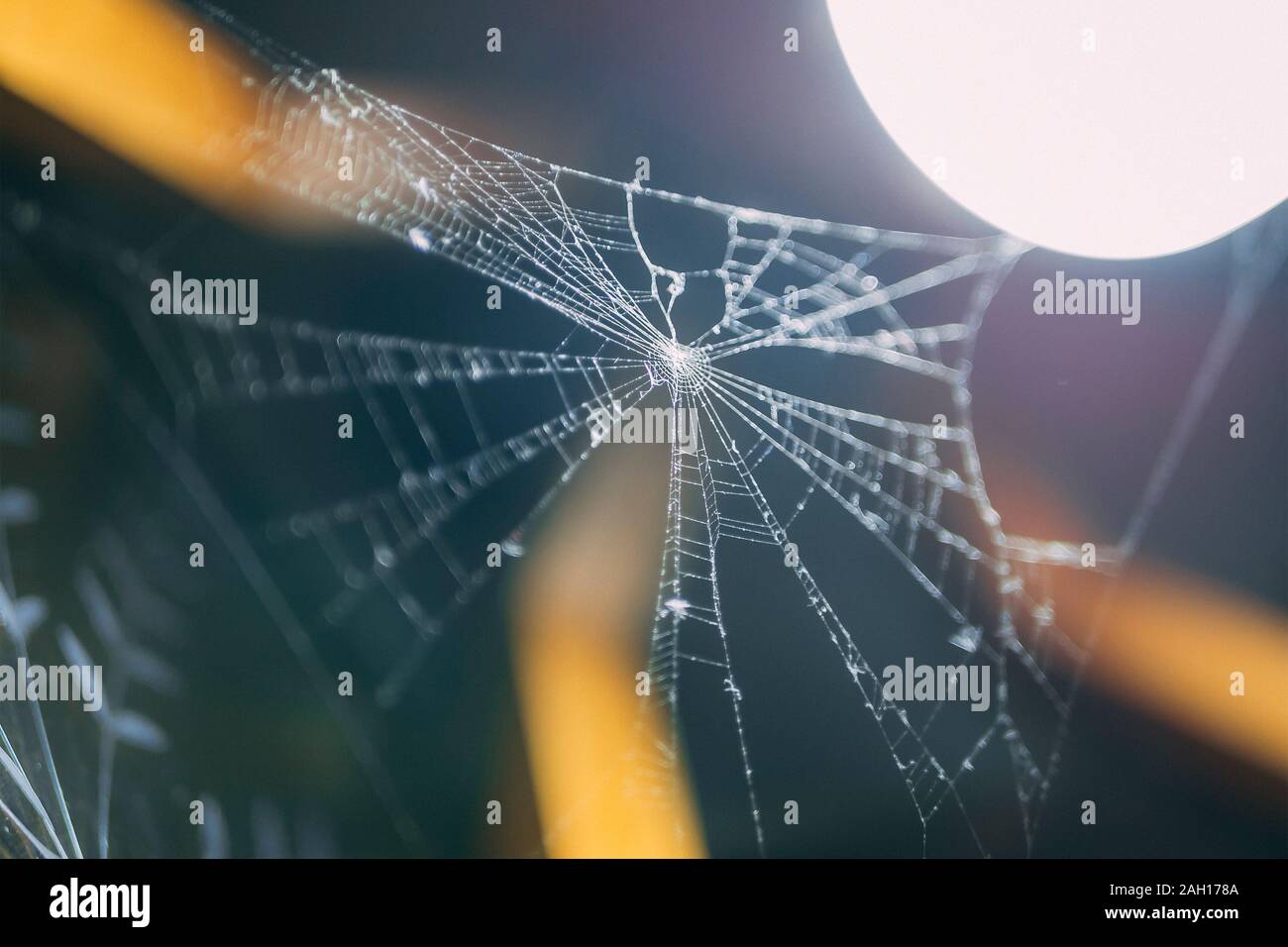 Ceiling cobweb hi-res stock photography and images - Alamy