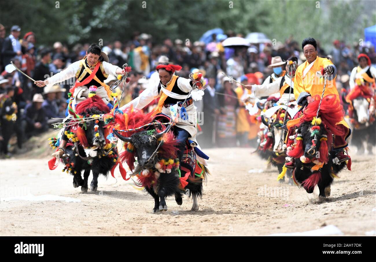 Yak racing hi-res stock photography and images - Alamy