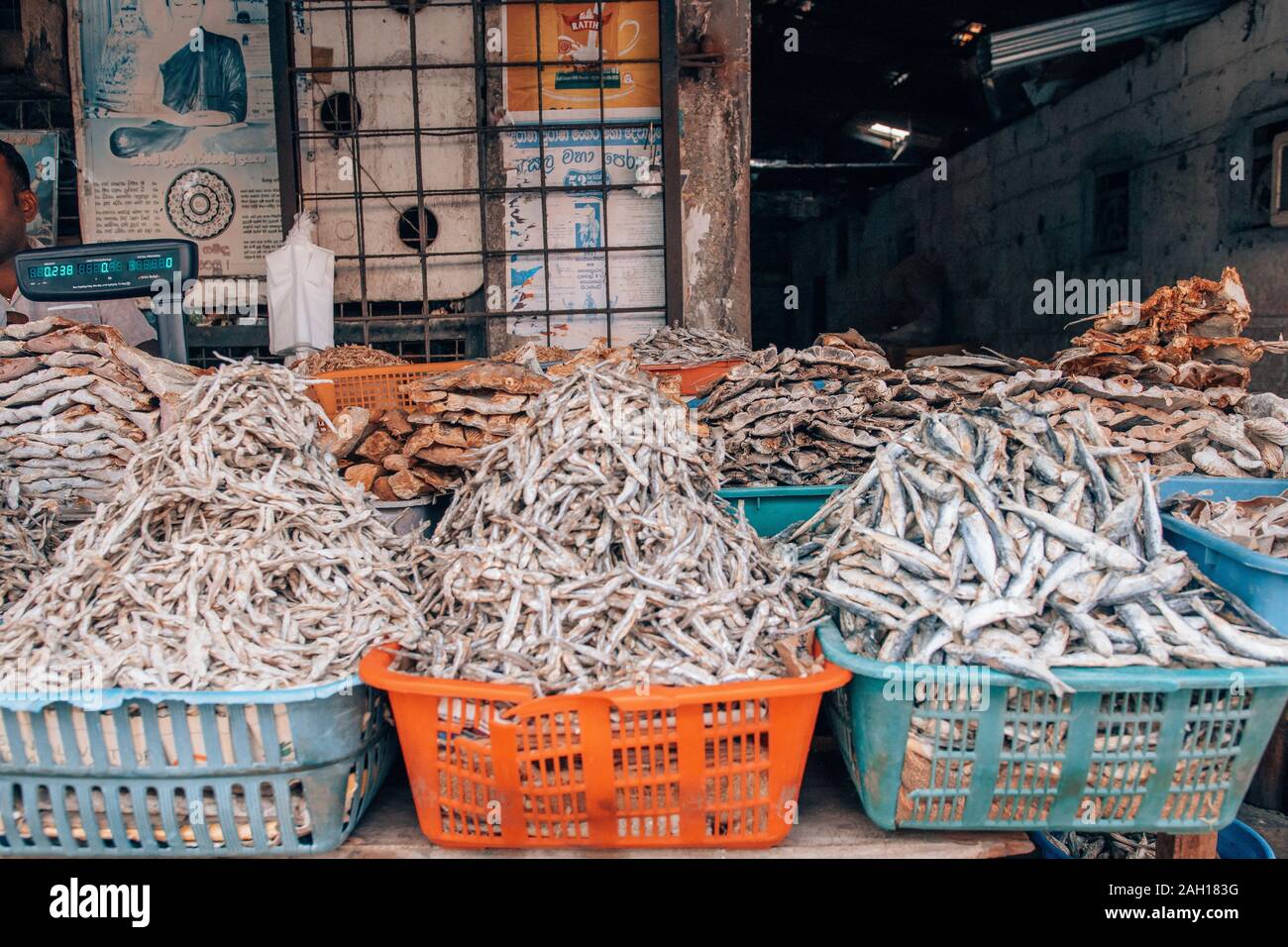 Traditional pet design hi-res stock photography and images - Alamy