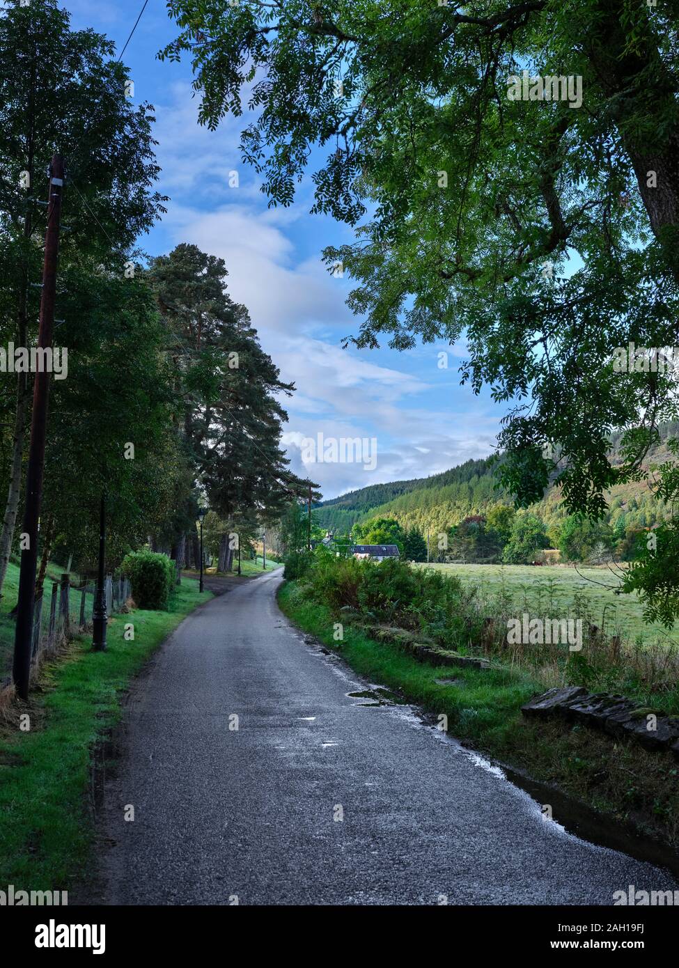 Tomich hi-res stock photography and images - Alamy