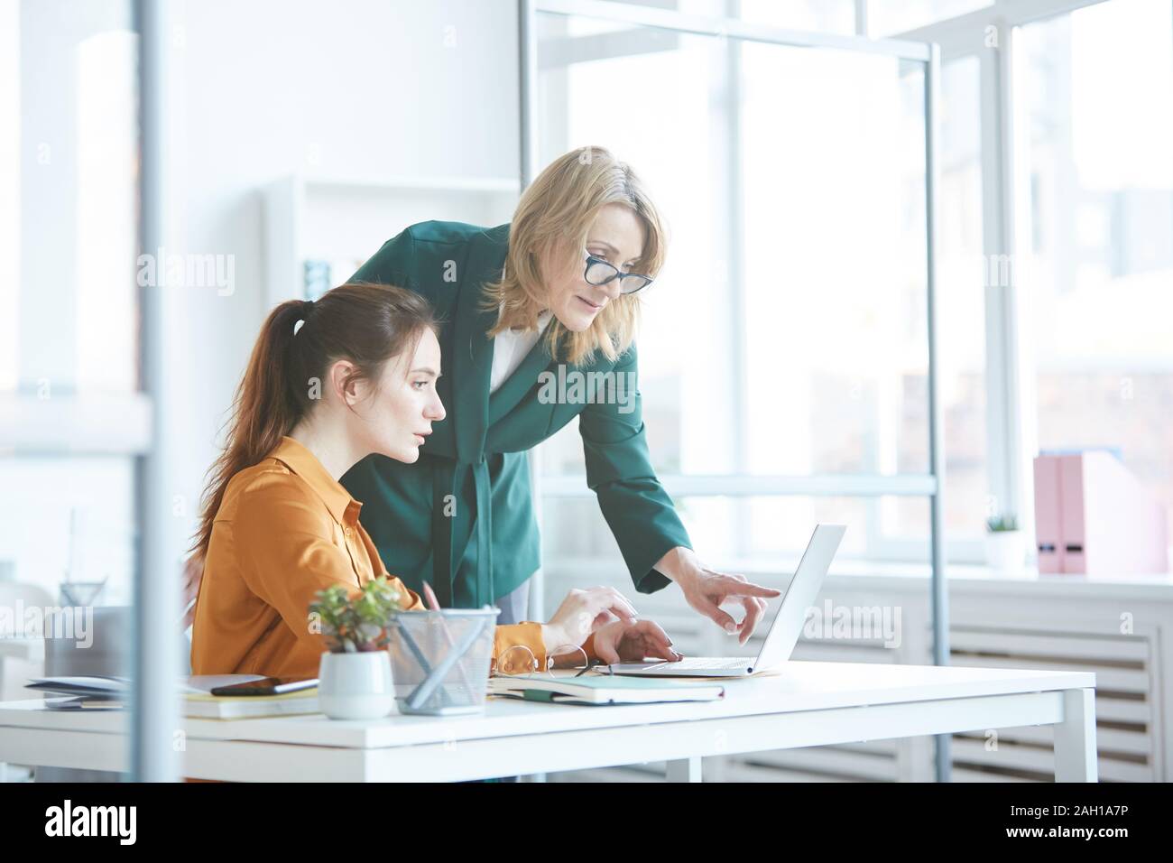 Mature businesswoman giving recommendations to her employee while they ...
