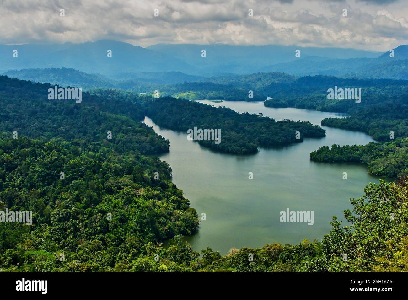 Elevated view of rainforest, outside Kuala Lumpur, Malaysia Stock Photo ...