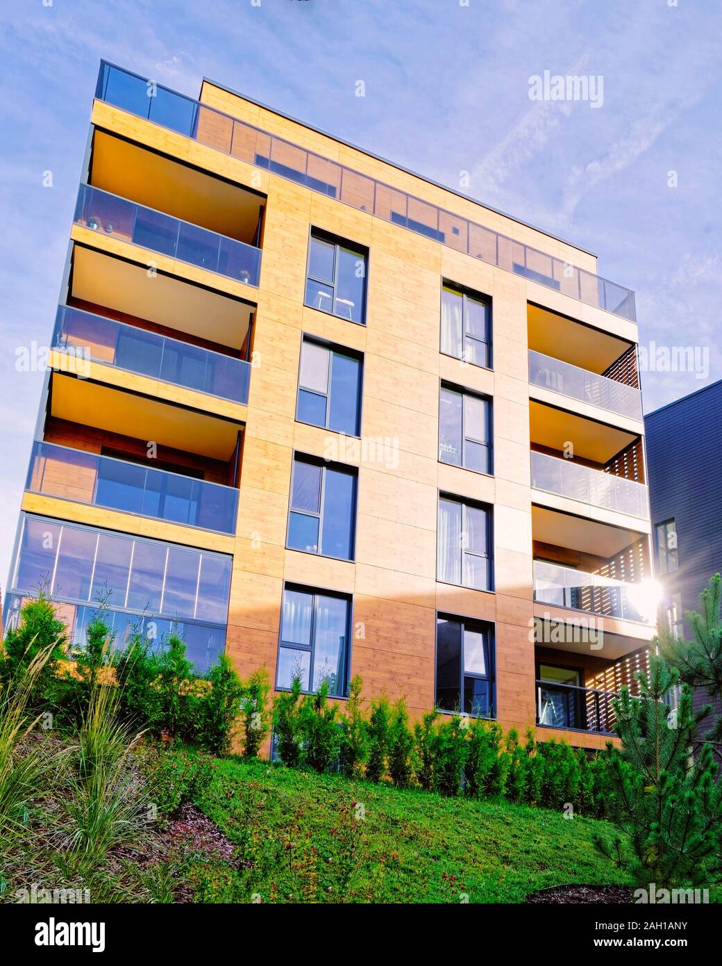 Pine trees at Modern architectural complex of residential buildings ...