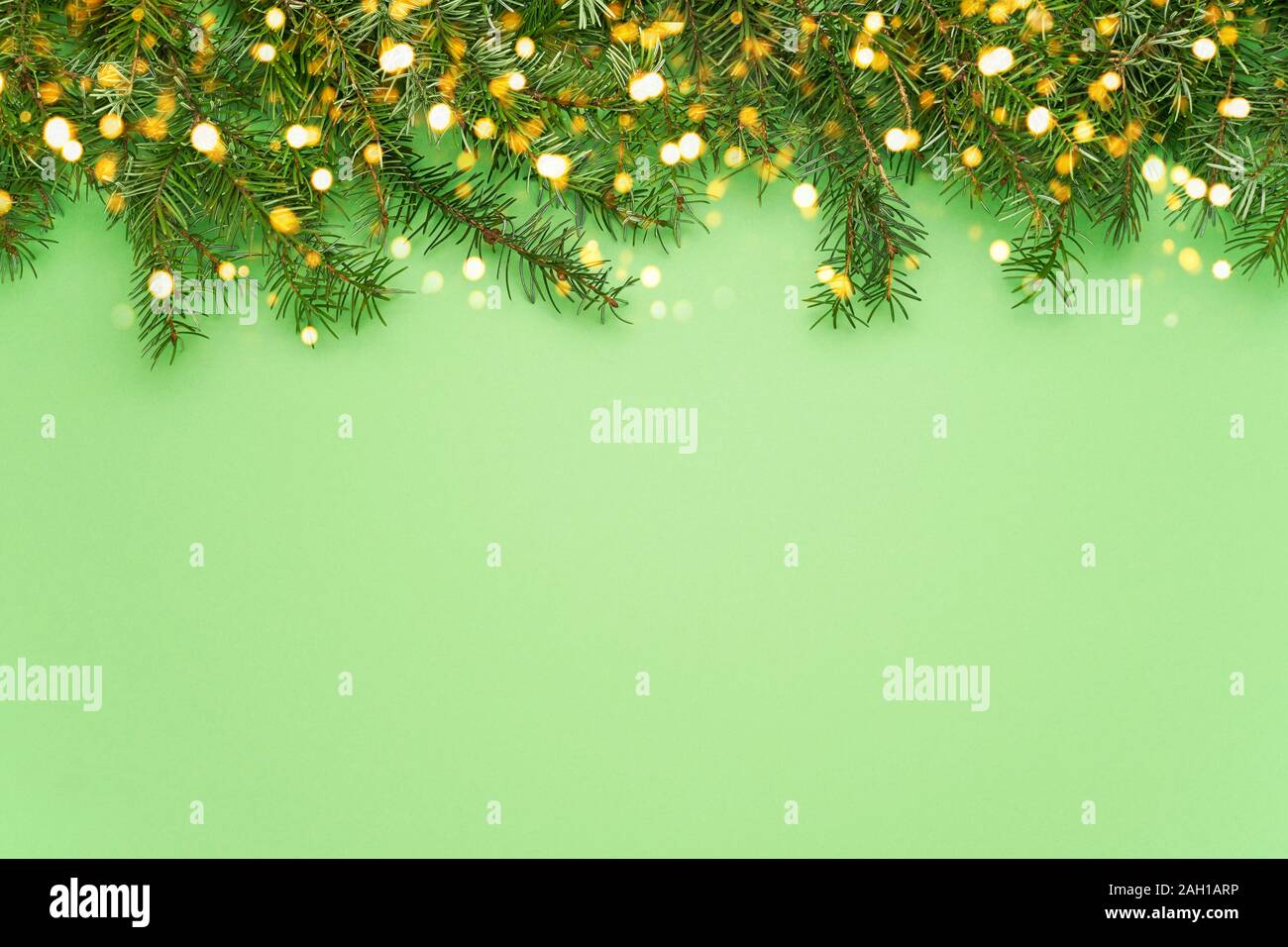 Christmas background. Christmas fir tree branch on green background ...