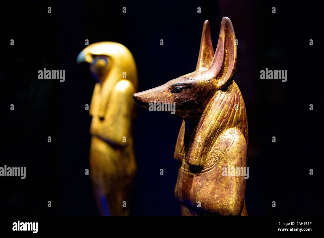Gilded wooden jackal-headed figure of Duamutef, Tutankhamun - Treasures ...