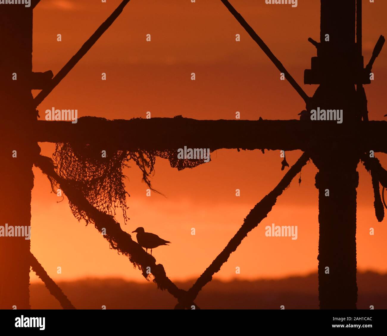 17 years at sea hi-res stock photography and images - Alamy