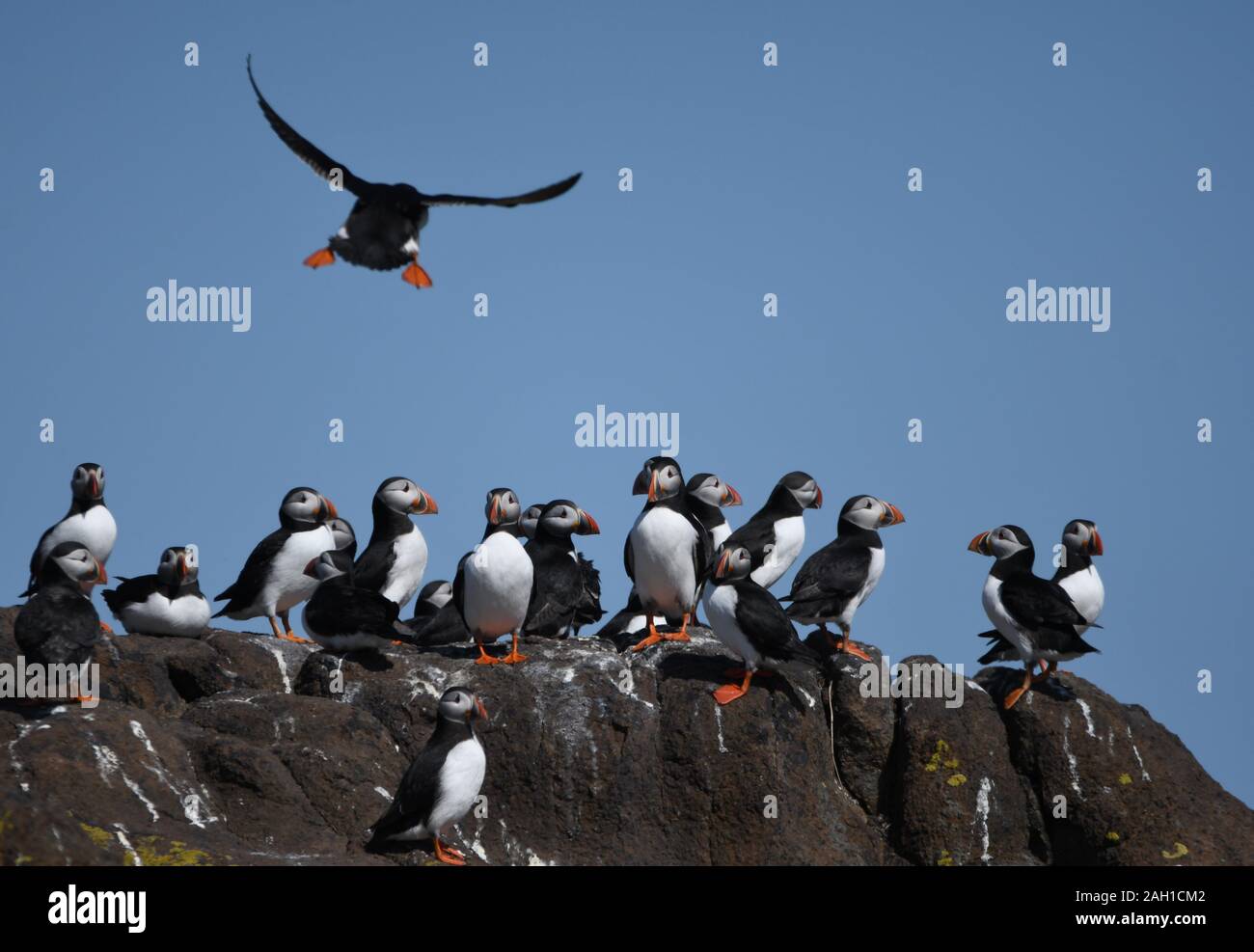 Tim is an award-winning photographer and has worked as a professional ...