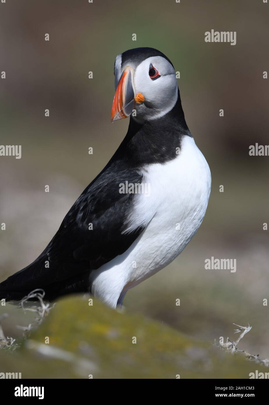 Tim is an award-winning photographer and has worked as a professional ...