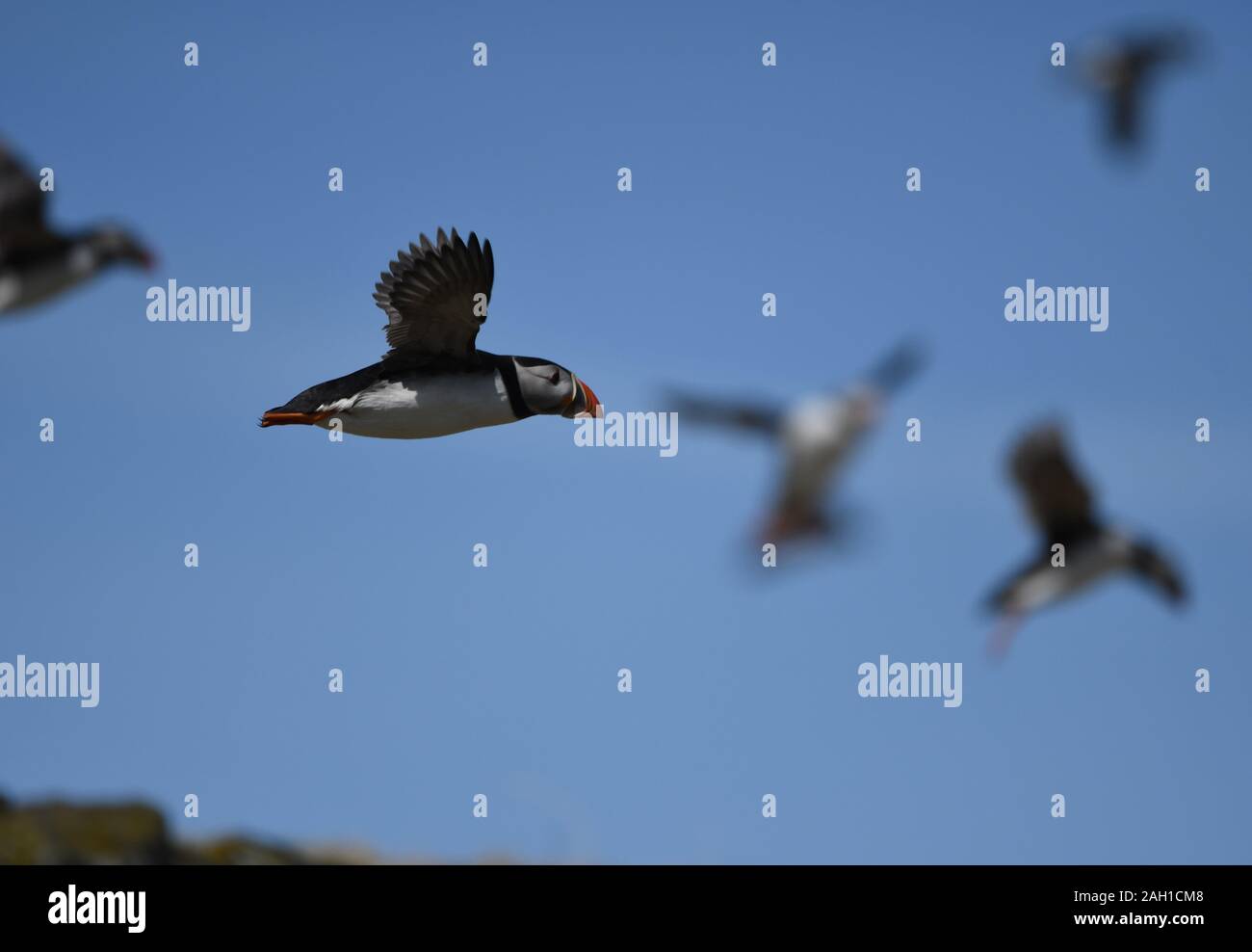 Tim is an award-winning photographer and has worked as a professional ...