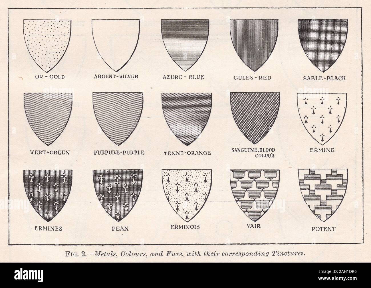 Vintage illustrations of Metals, Colours and Furs, with their ...