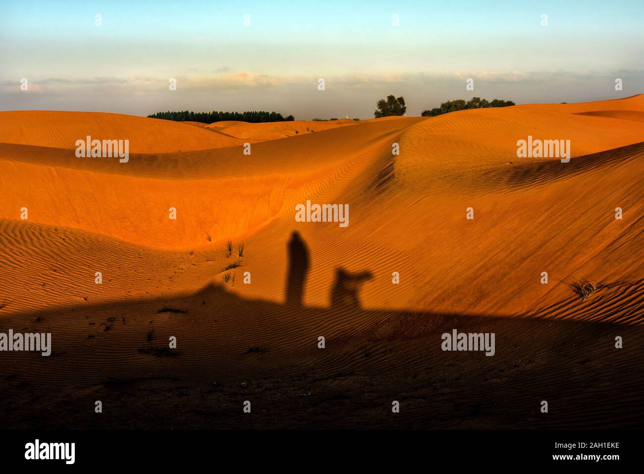 shadow in the desert Stock Photo - Alamy