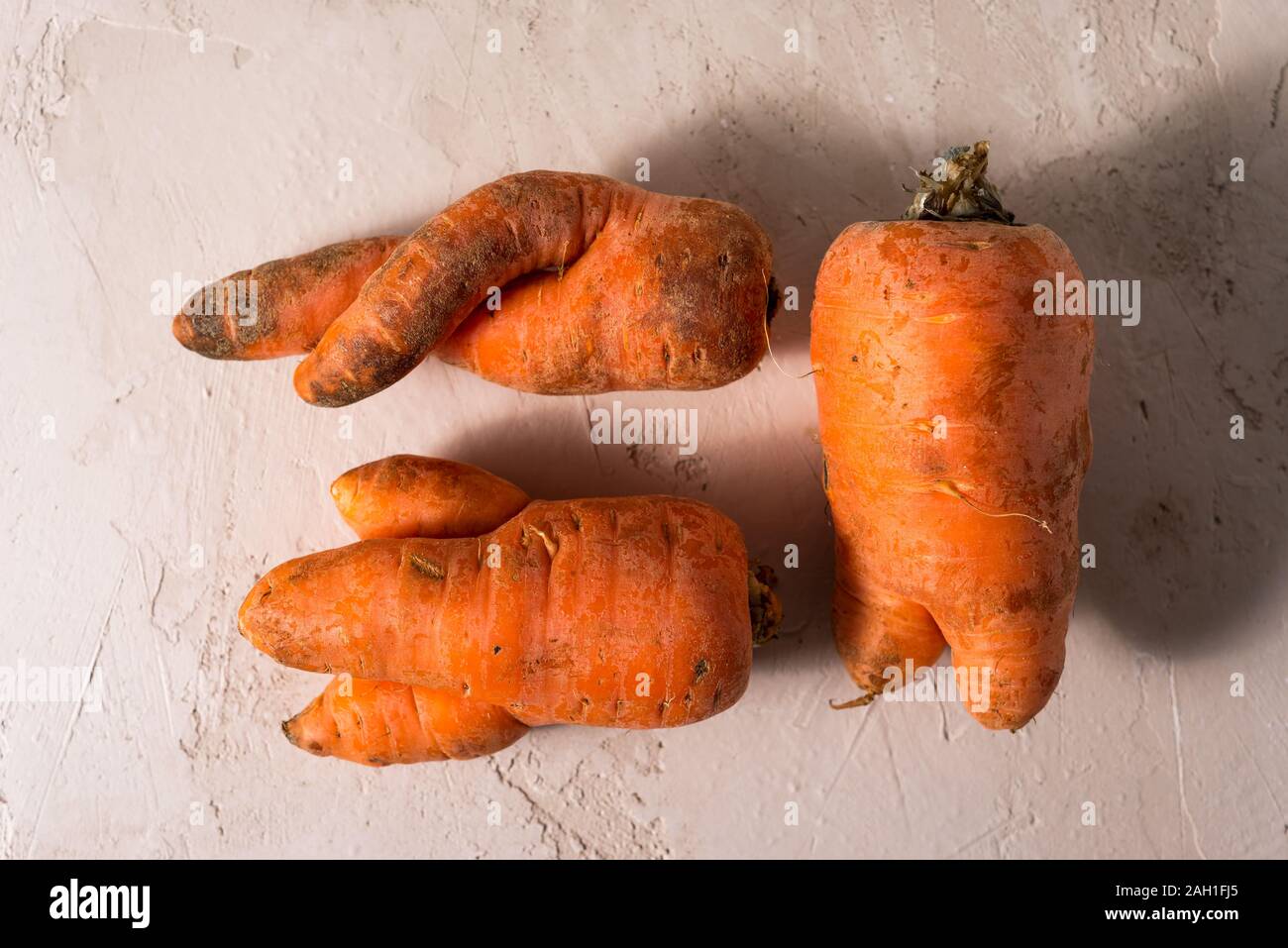 ugly vegetables, carrots on a light background.funny monster carrot The ...