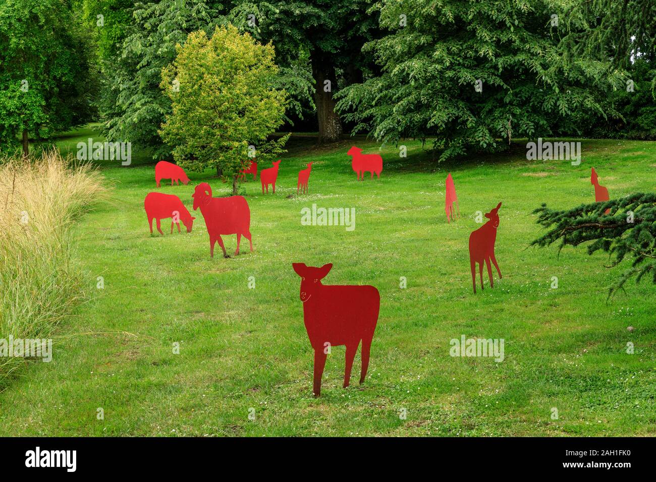 Anne morea hi-res stock photography and images - Alamy