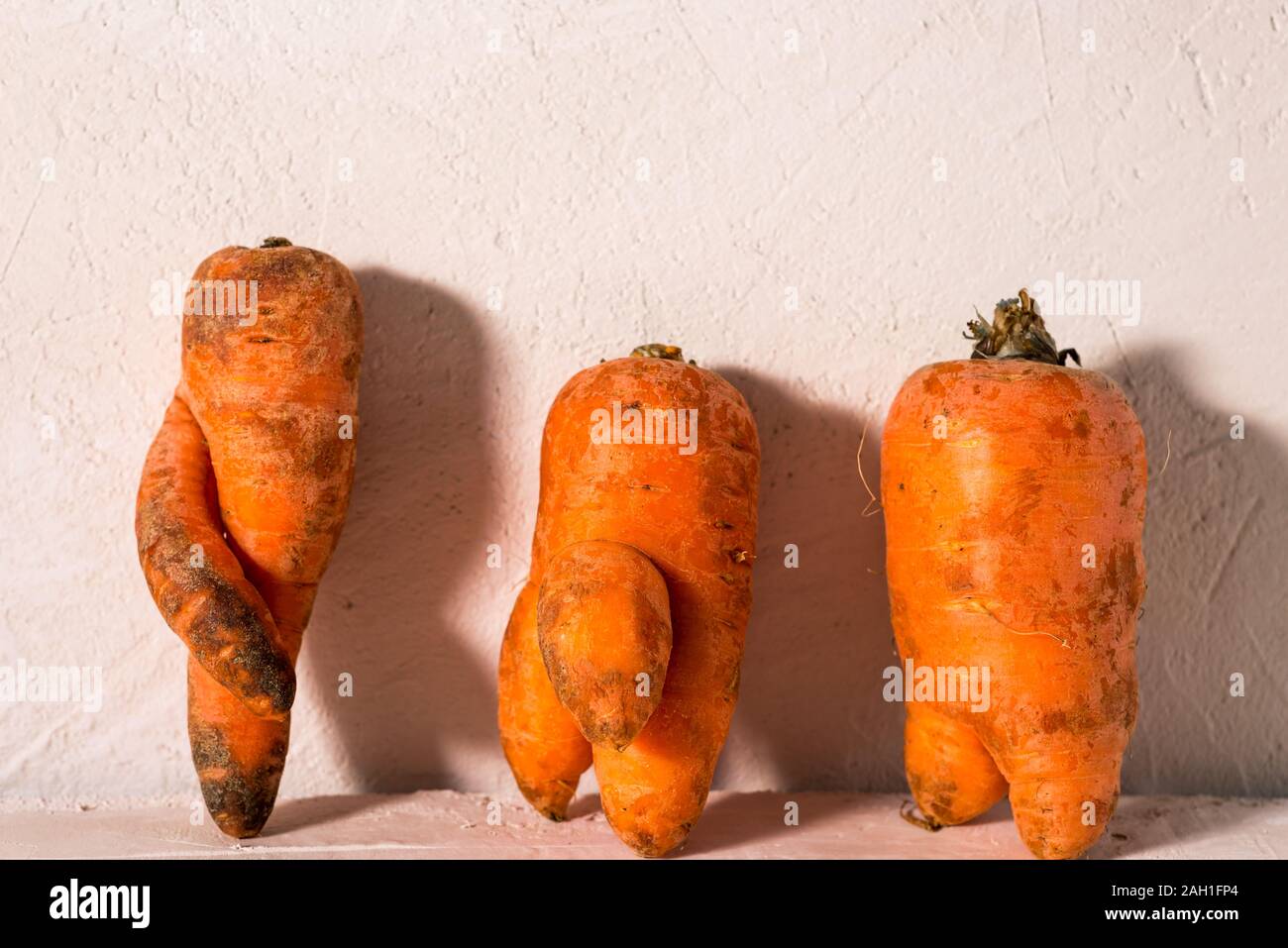ugly vegetables, carrots on a light background.funny monster carrot The ...
