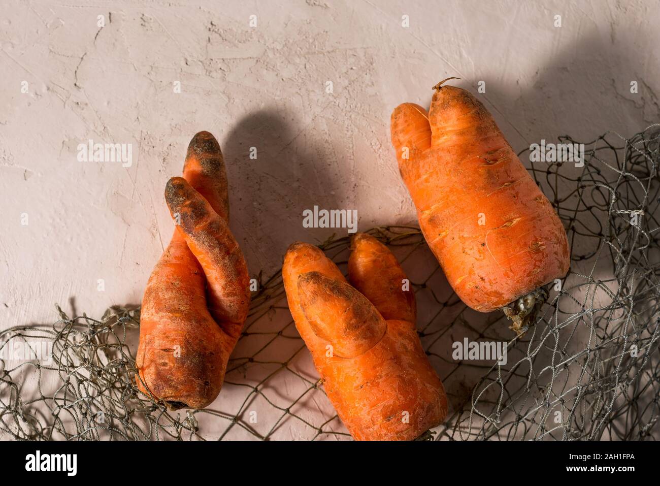 ugly vegetables, carrots on a light background.funny monster carrot The ...