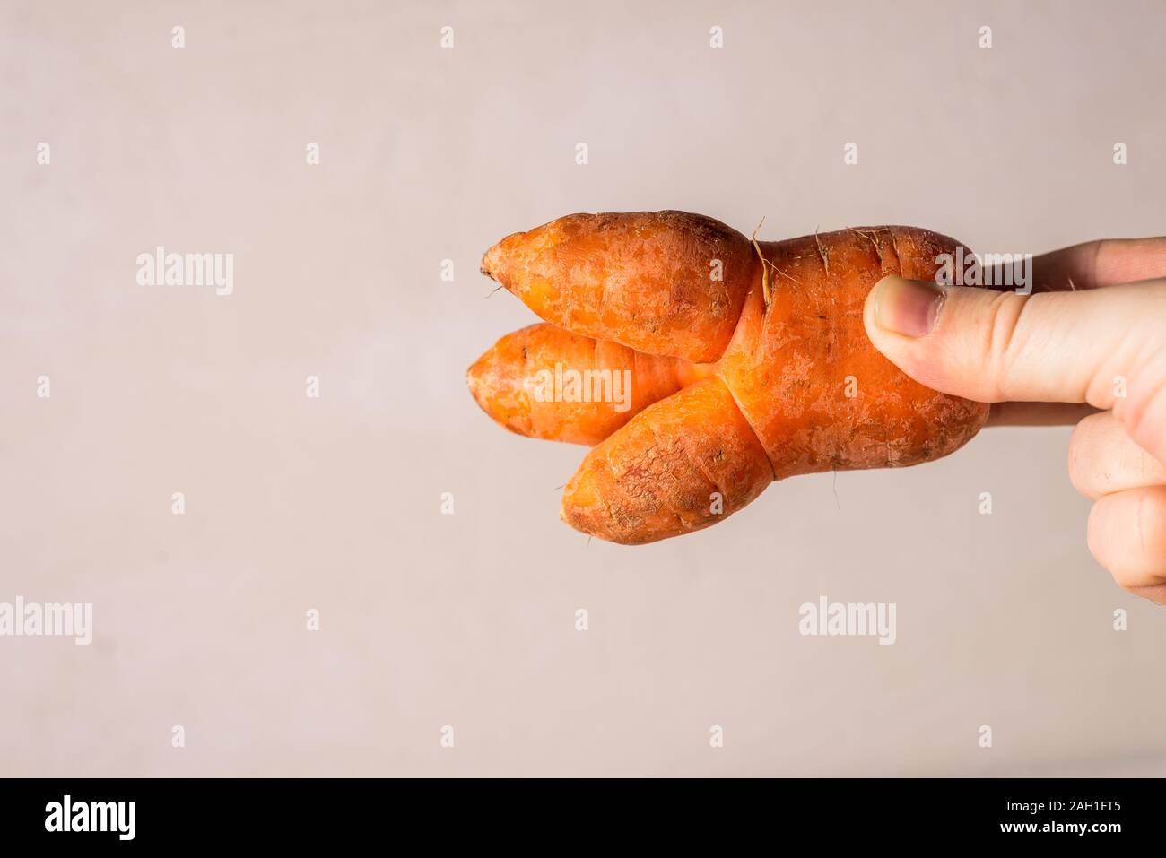ugly vegetables, carrots on a light background.funny monster carrot The ...