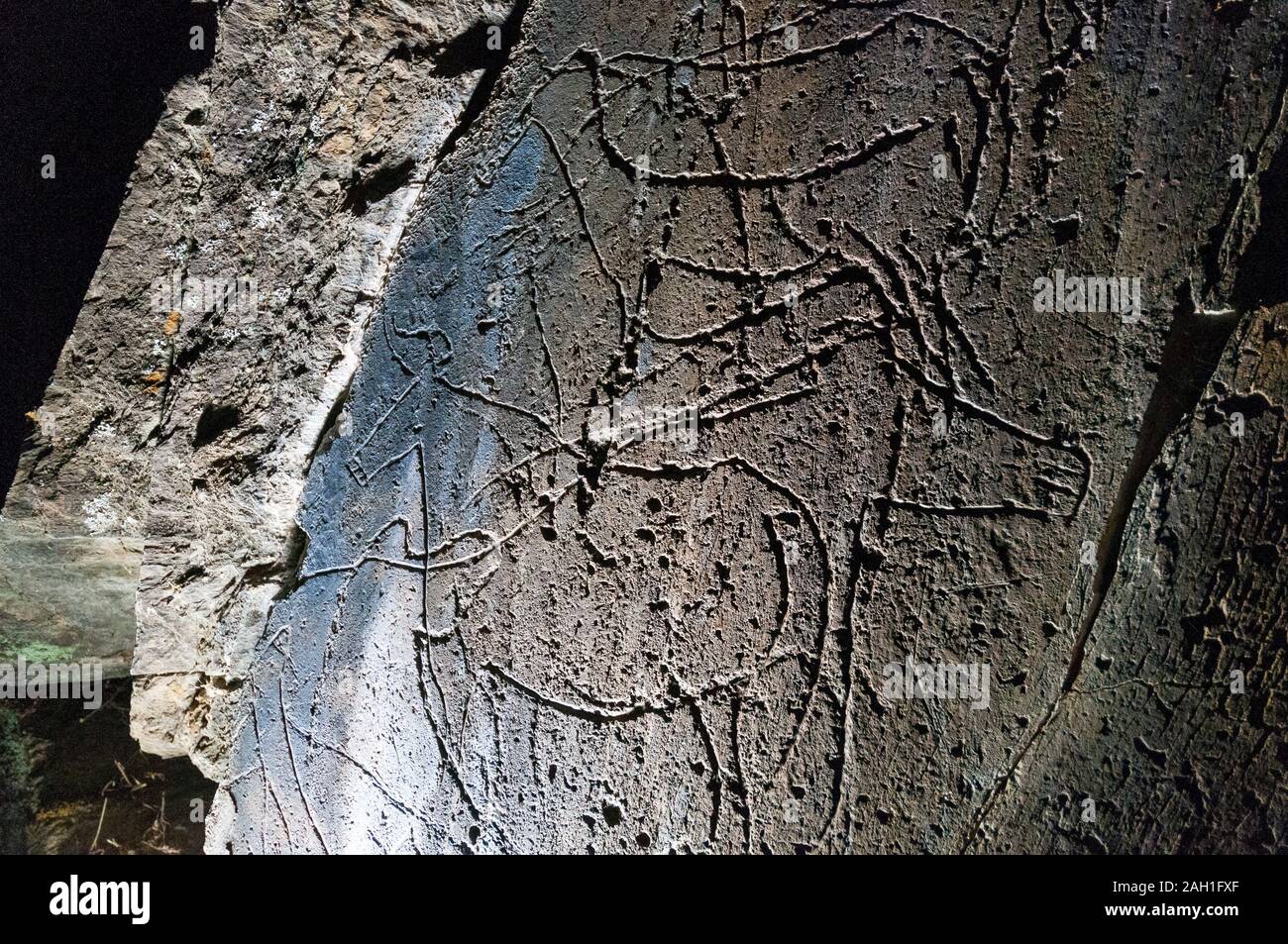 Paleolithic rock engravings at the Coa Archeologic Park, Portugal Stock ...