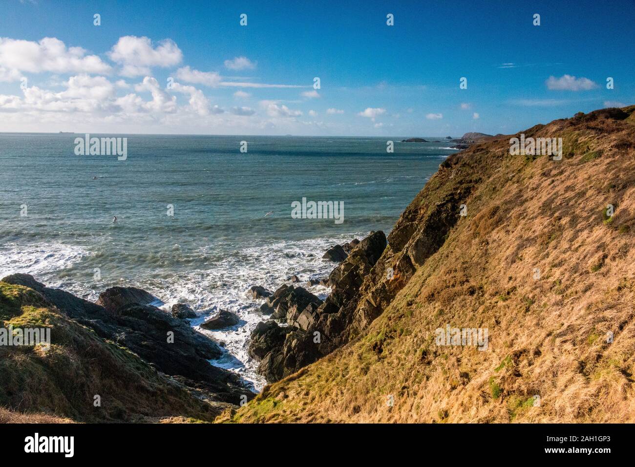 St davids wales pembrokeshire cottage hi-res stock photography and ...