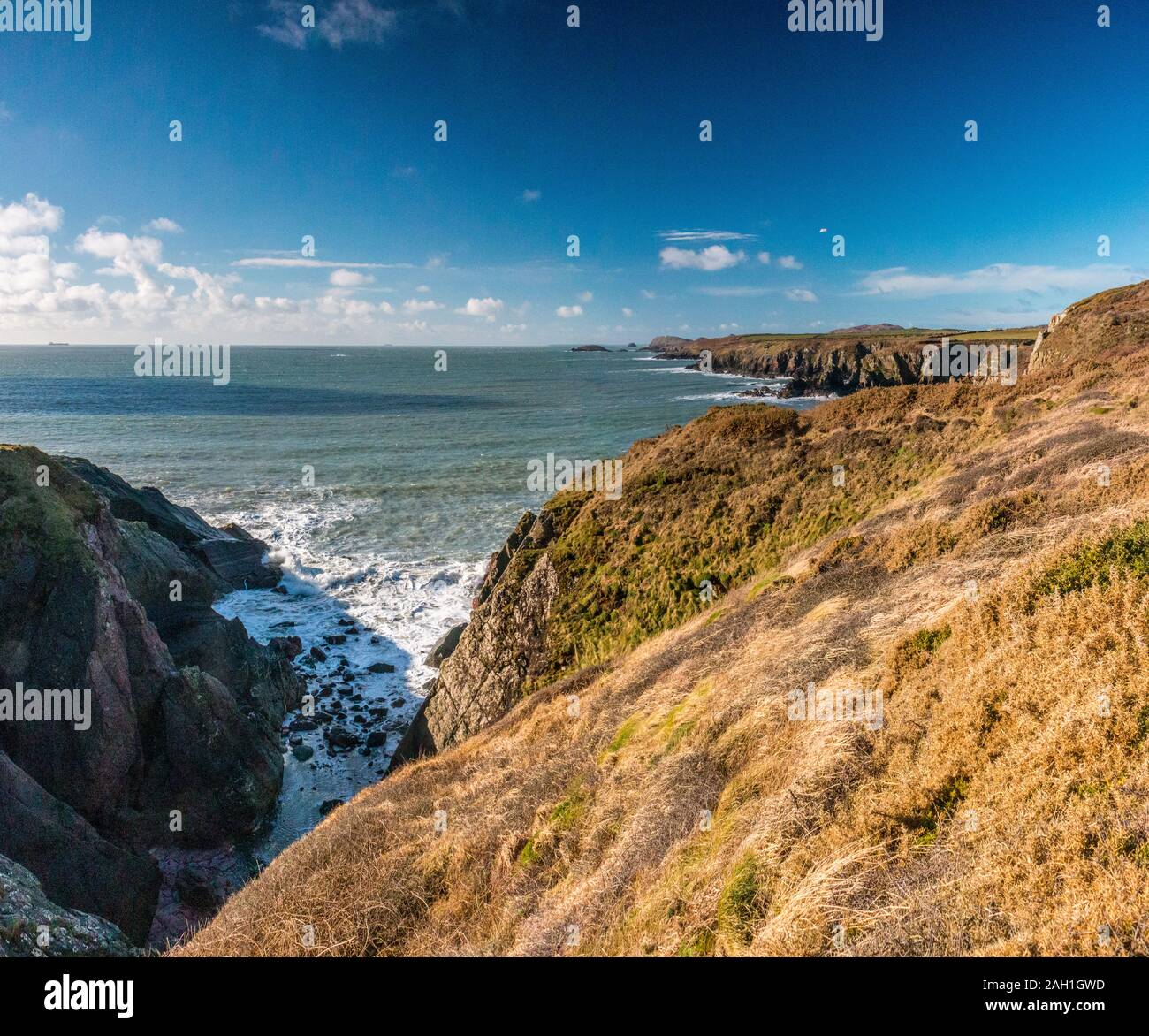 St Non's Bay coastal path St Davids Tyddewi Pembrokeshire Coast ...