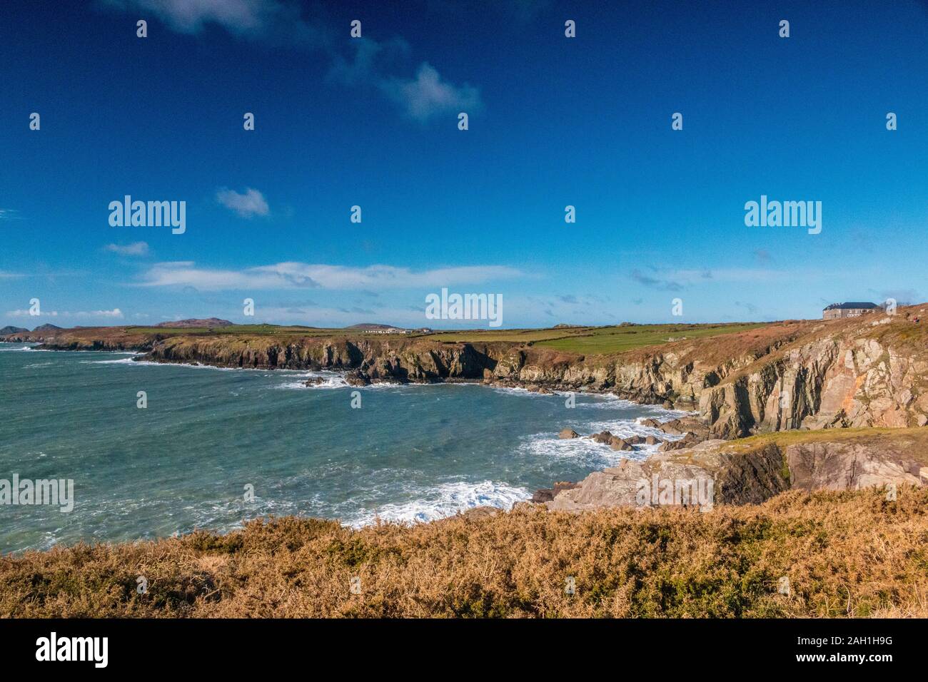 St davids wales pembrokeshire cottage hi-res stock photography and ...