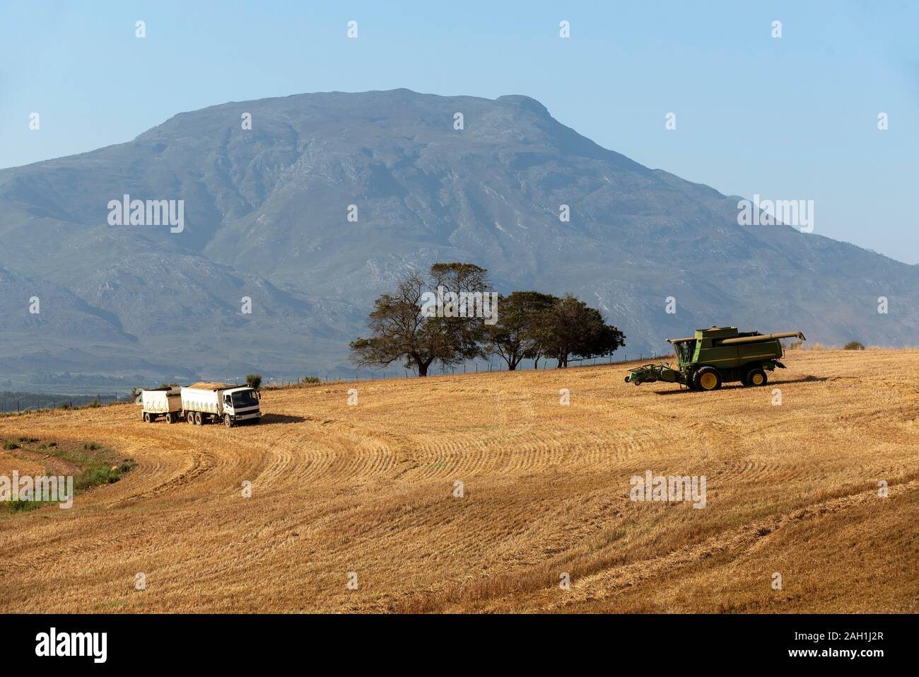 Loading grain lorry hi-res stock photography and images - Alamy