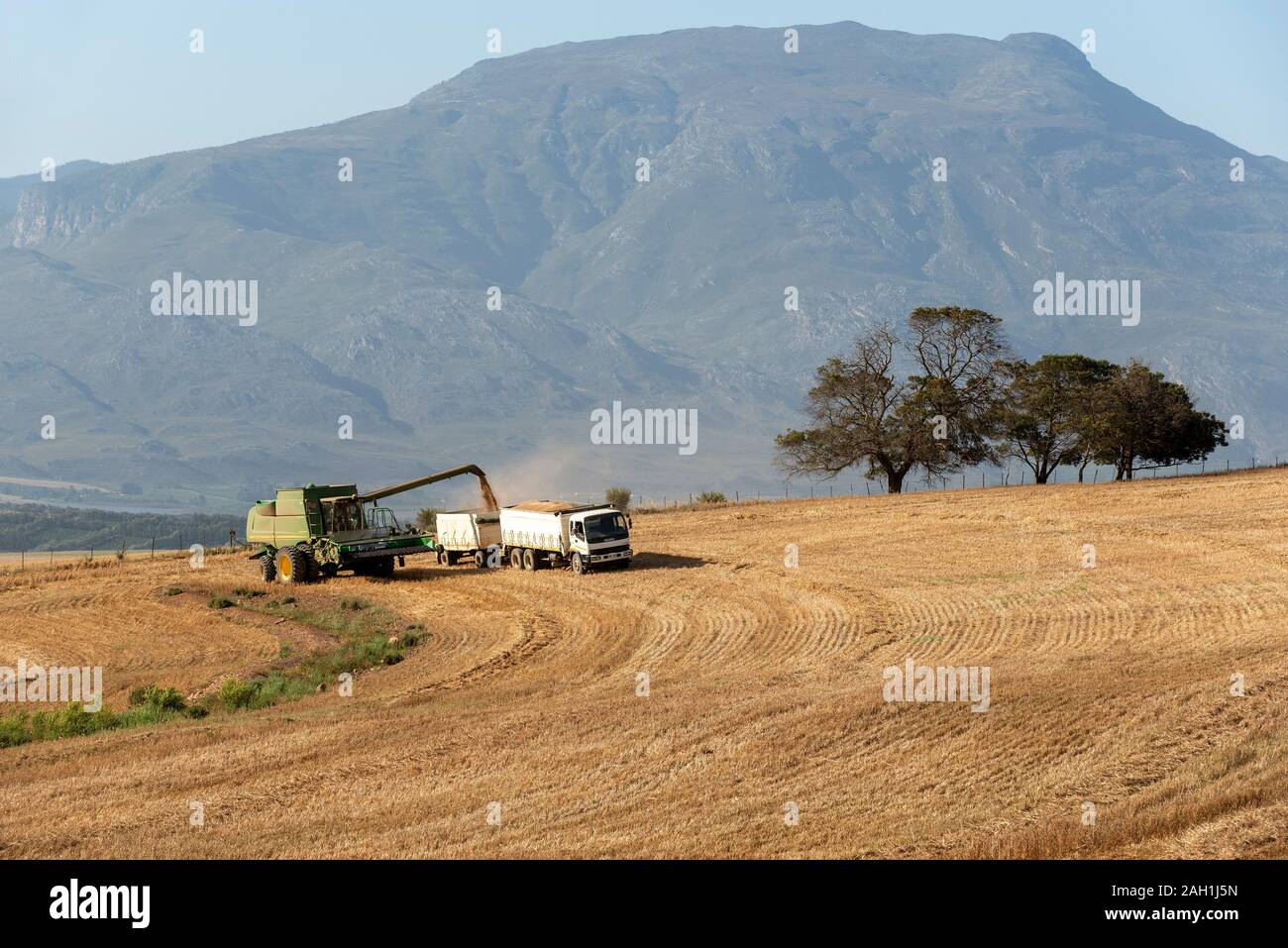 Loading grain lorry hi-res stock photography and images - Alamy