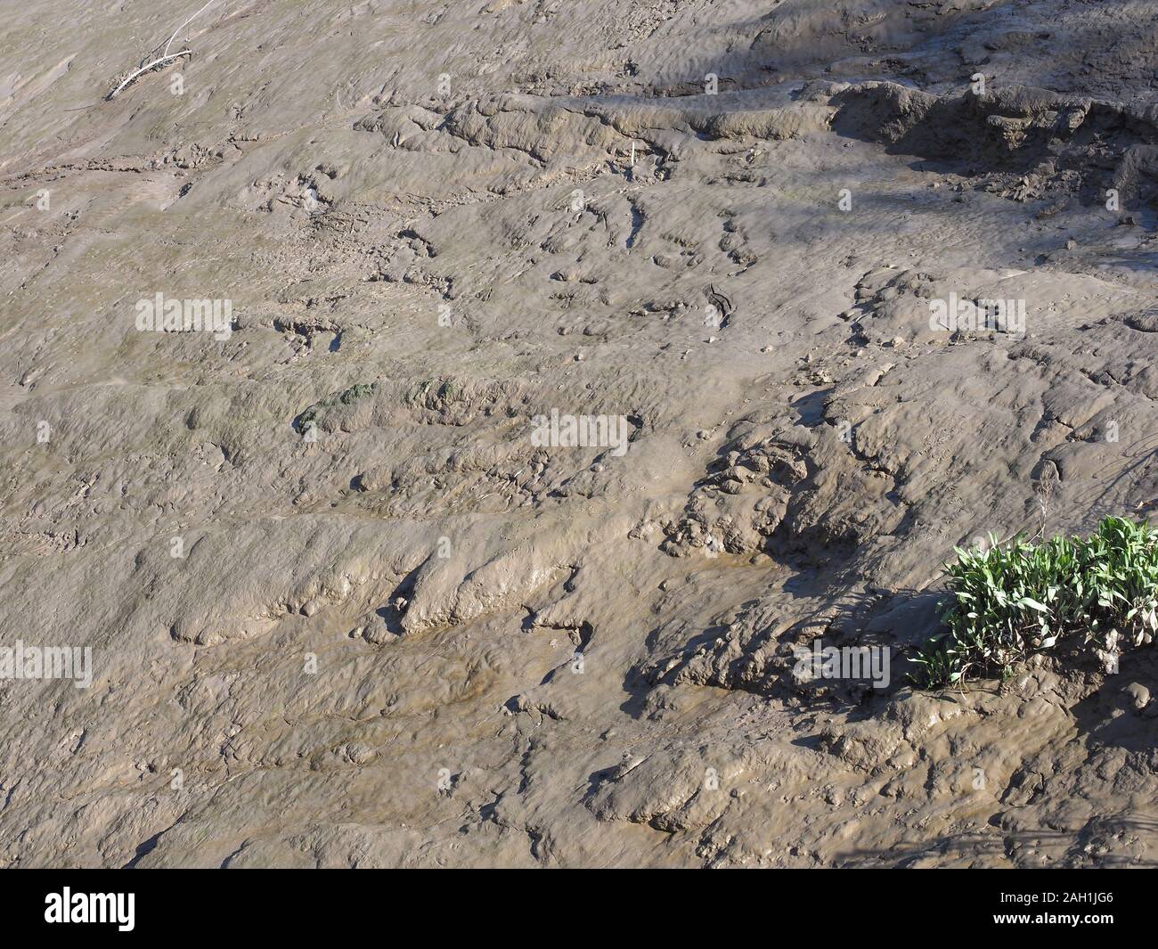 brown mud texture useful as a background Stock Photo - Alamy