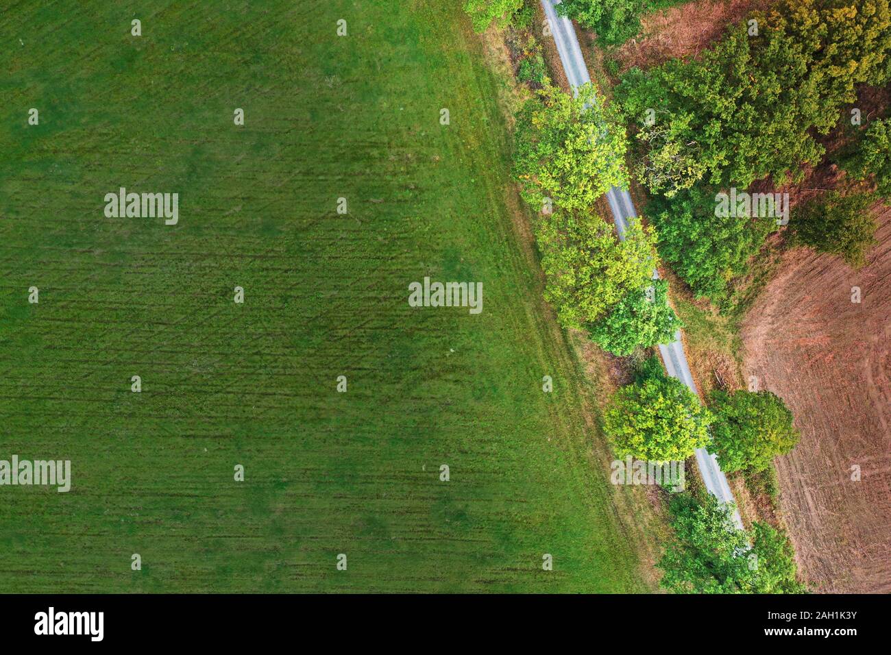 Abstract aerial photograph of a meadow next to a sloping path at the ...