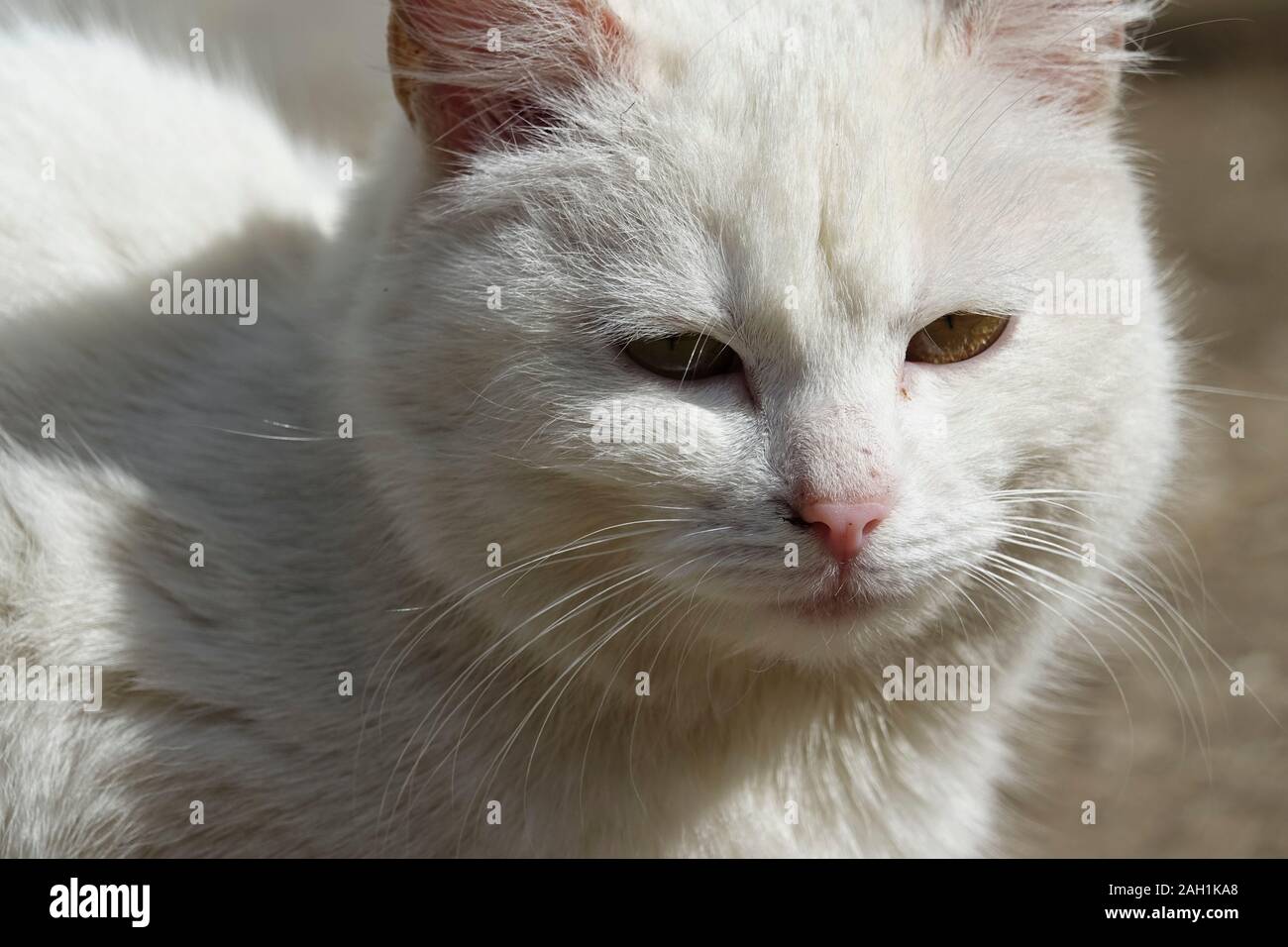 Homeless and empathy hi-res stock photography and images - Alamy