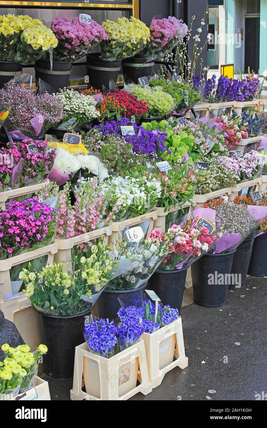 Flower Shop at Street Corner in London Stock Photo - Alamy
