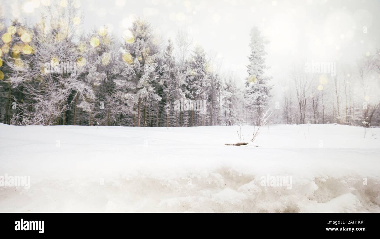 Winter Forest landscape background with a lot of snow Stock Photo - Alamy