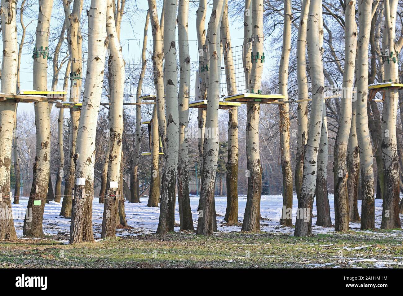 Training Camp for Survive in Nature Wilderness Stock Photo - Alamy
